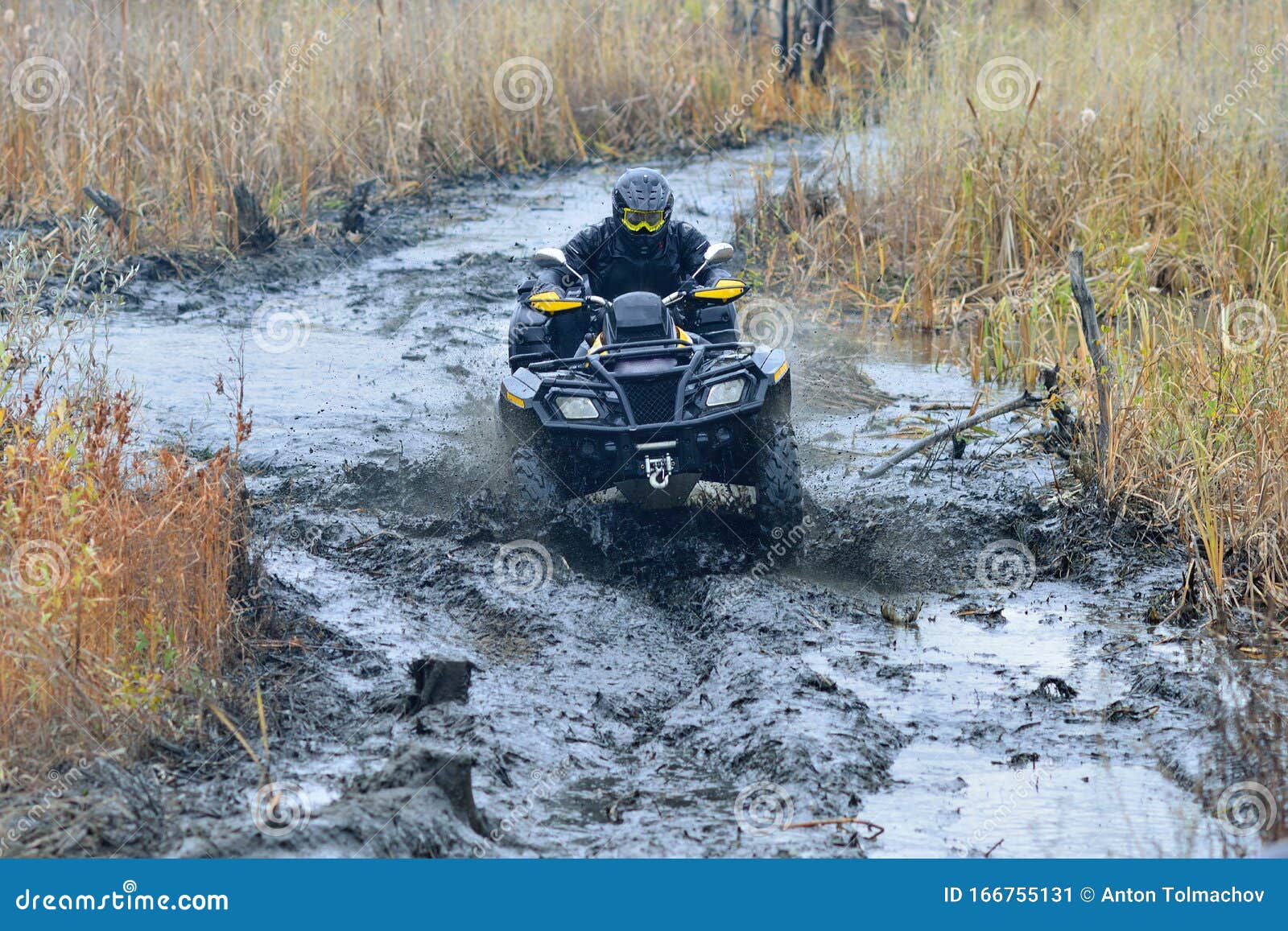 ATV and UTV Driving in Mud and Water Stock Image - Image of cheering ...