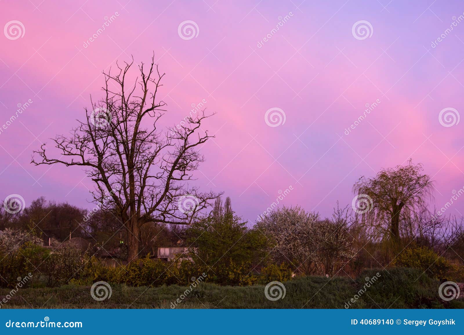 Aube rose photo stock. Image du rural, beau, village - 40689140