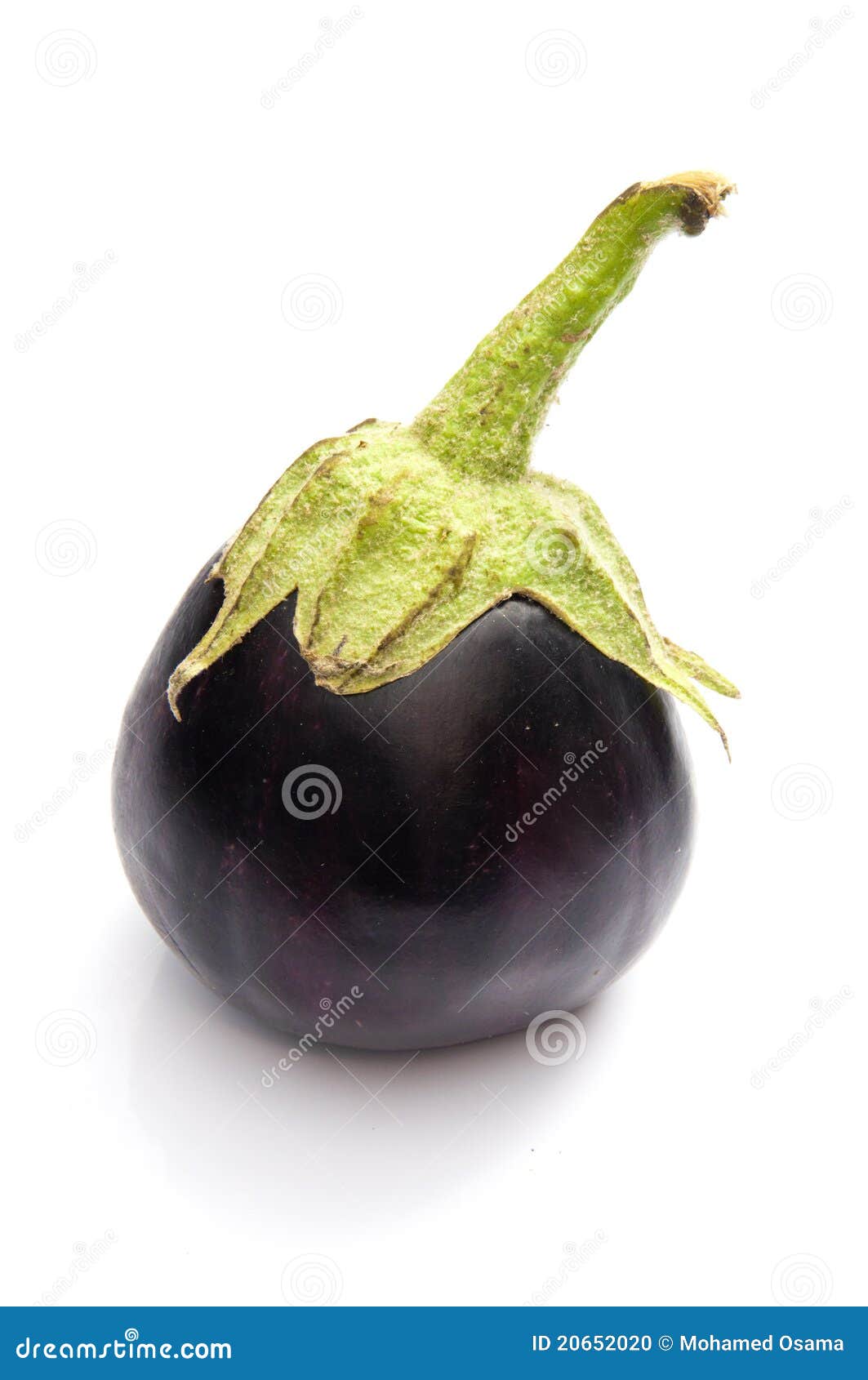 Aubergine arkivfoto. Bild av droppar, dagg, jordbruk - 20652020