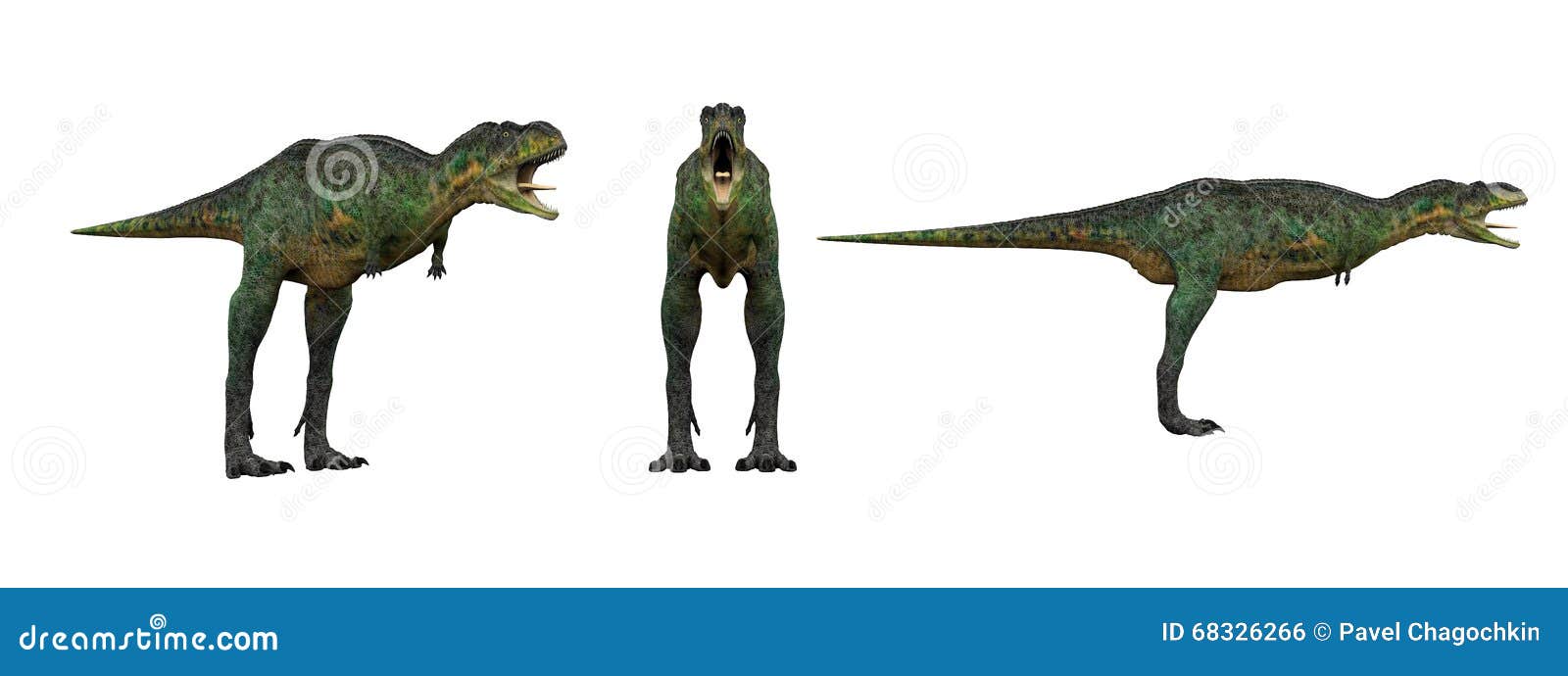 Aucasaurus. Dinosaur Isolate on White Stock Illustration - Illustration ...