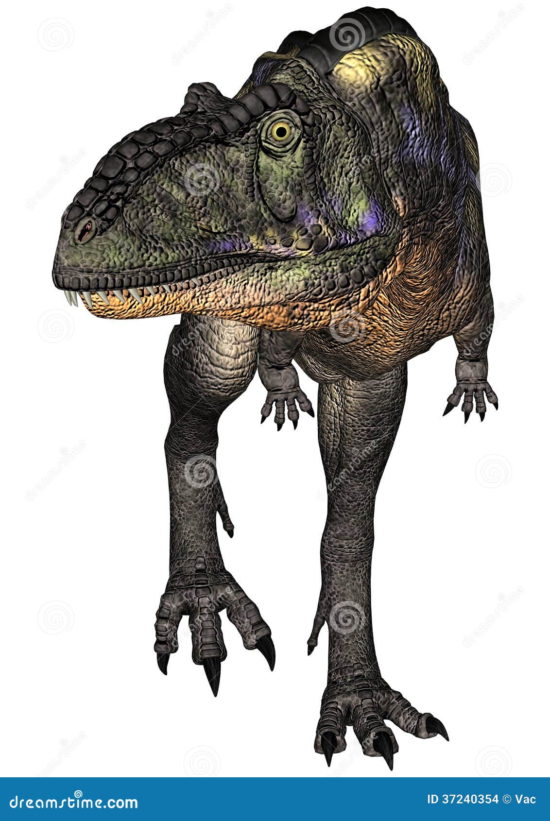 Aucasaurus do dinossauro ilustração stock. Ilustração de grande - 37240354
