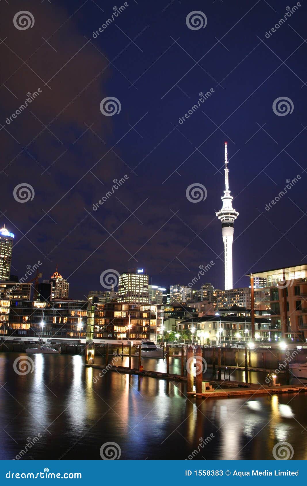 Auckland City at Night stock image. Image of ocean, landmark - 1558383