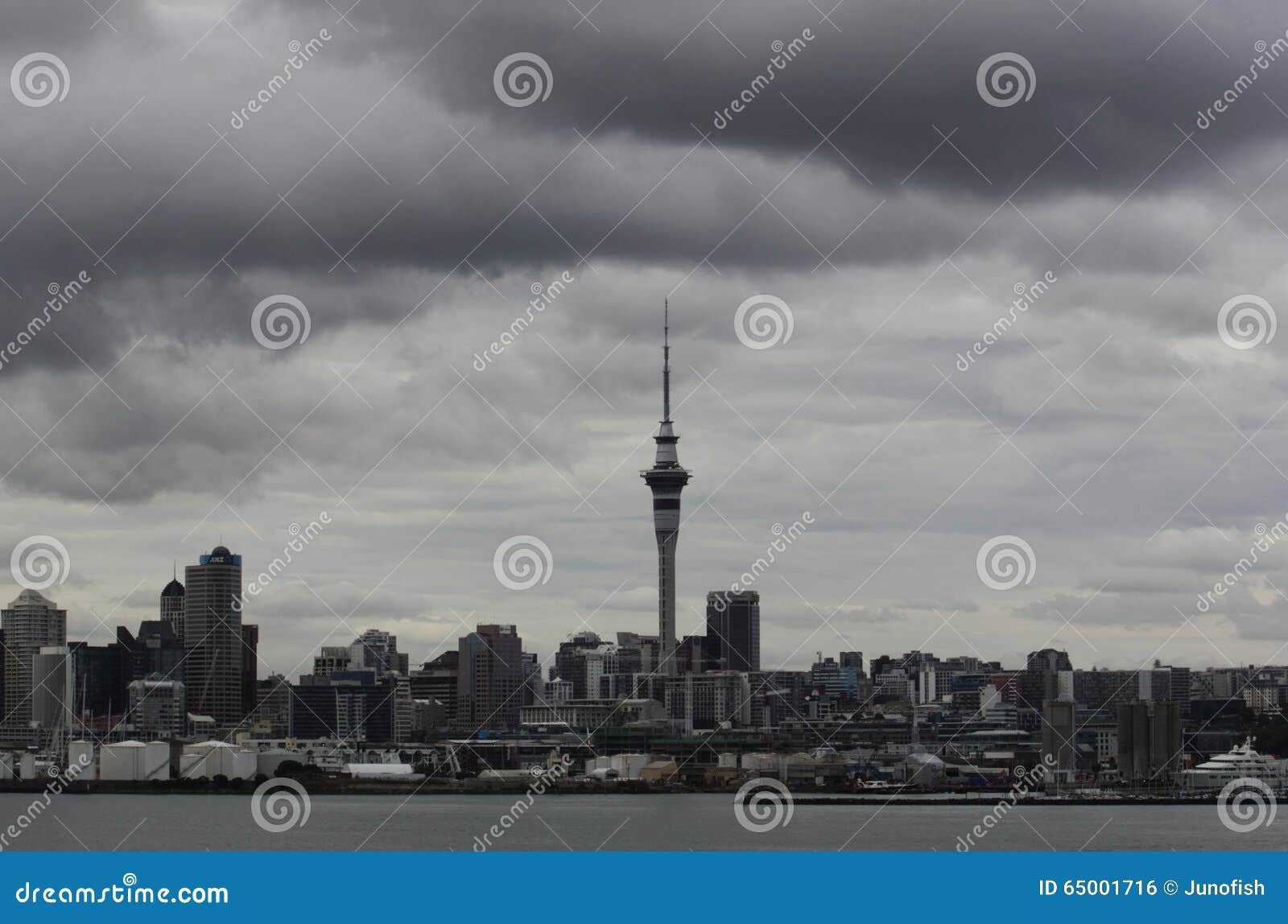 Auckland city skyline stock photo. Image of skytower - 65001716