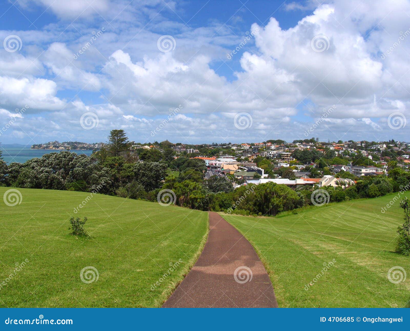 Auckland Grassland stock image. Image of heaven, tree - 4706685