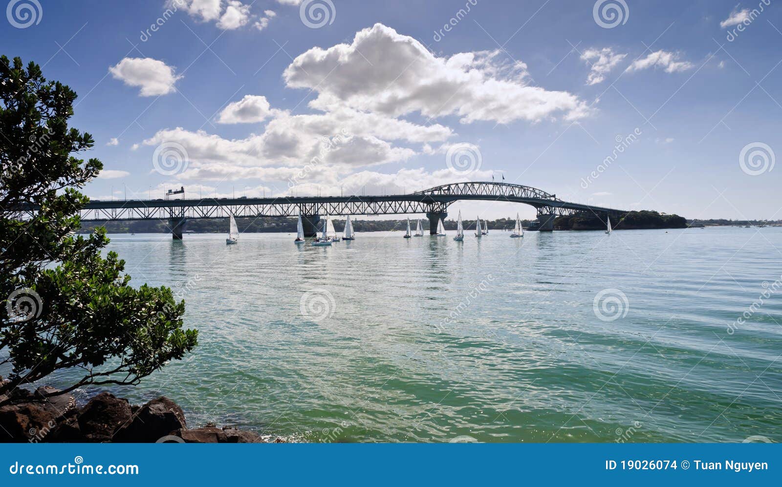 Auckland Harbour Bridge Royalty-Free Stock Image | CartoonDealer.com ...
