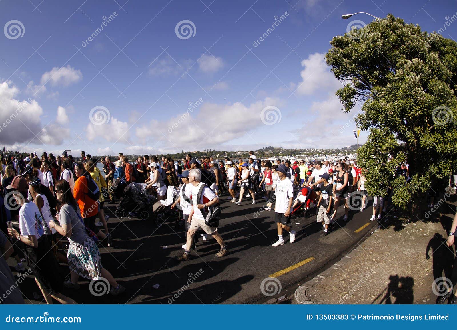 Auckland Round the Bays Fun Run Editorial Stock Photo - Image of shoes ...