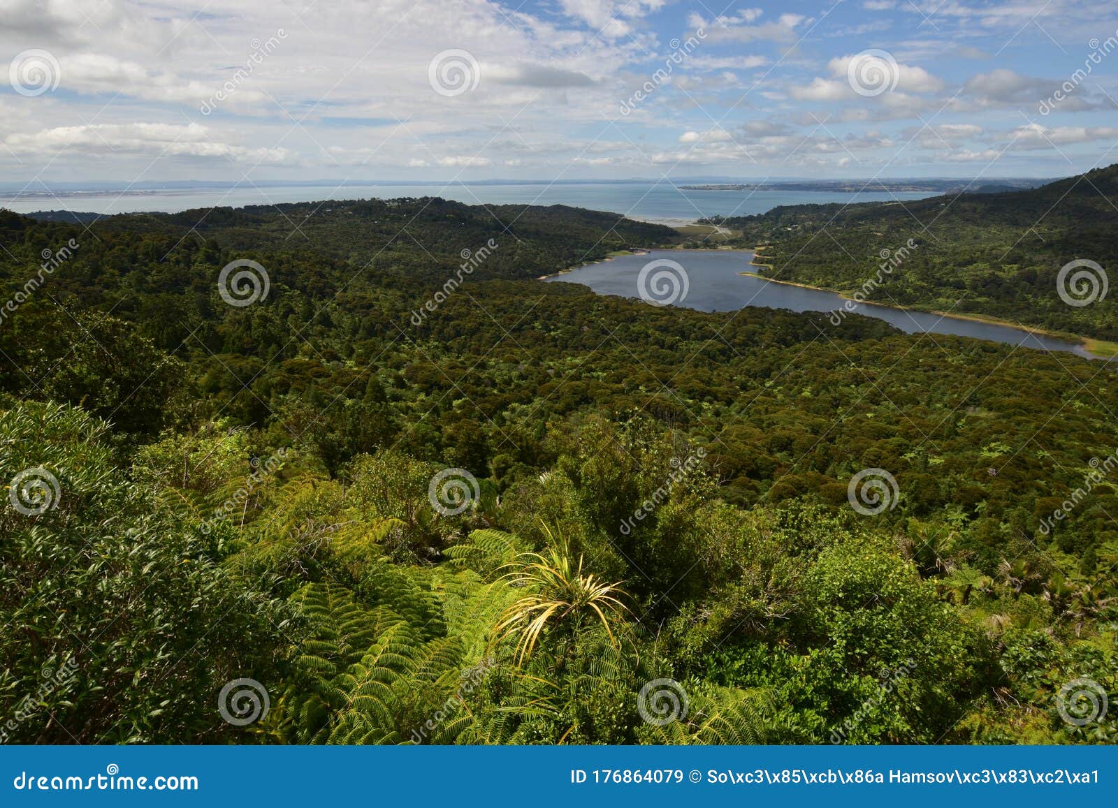 Auckland Waitakere Ranges View from Visitor Centre Platform Stock Image ...