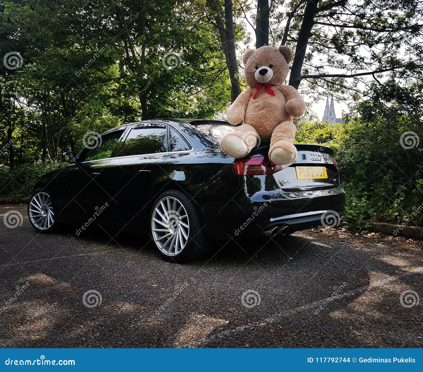 Audi A4B8 Bear Love To Girlfriend Editorial Stock Image - Image of a4b8 ...