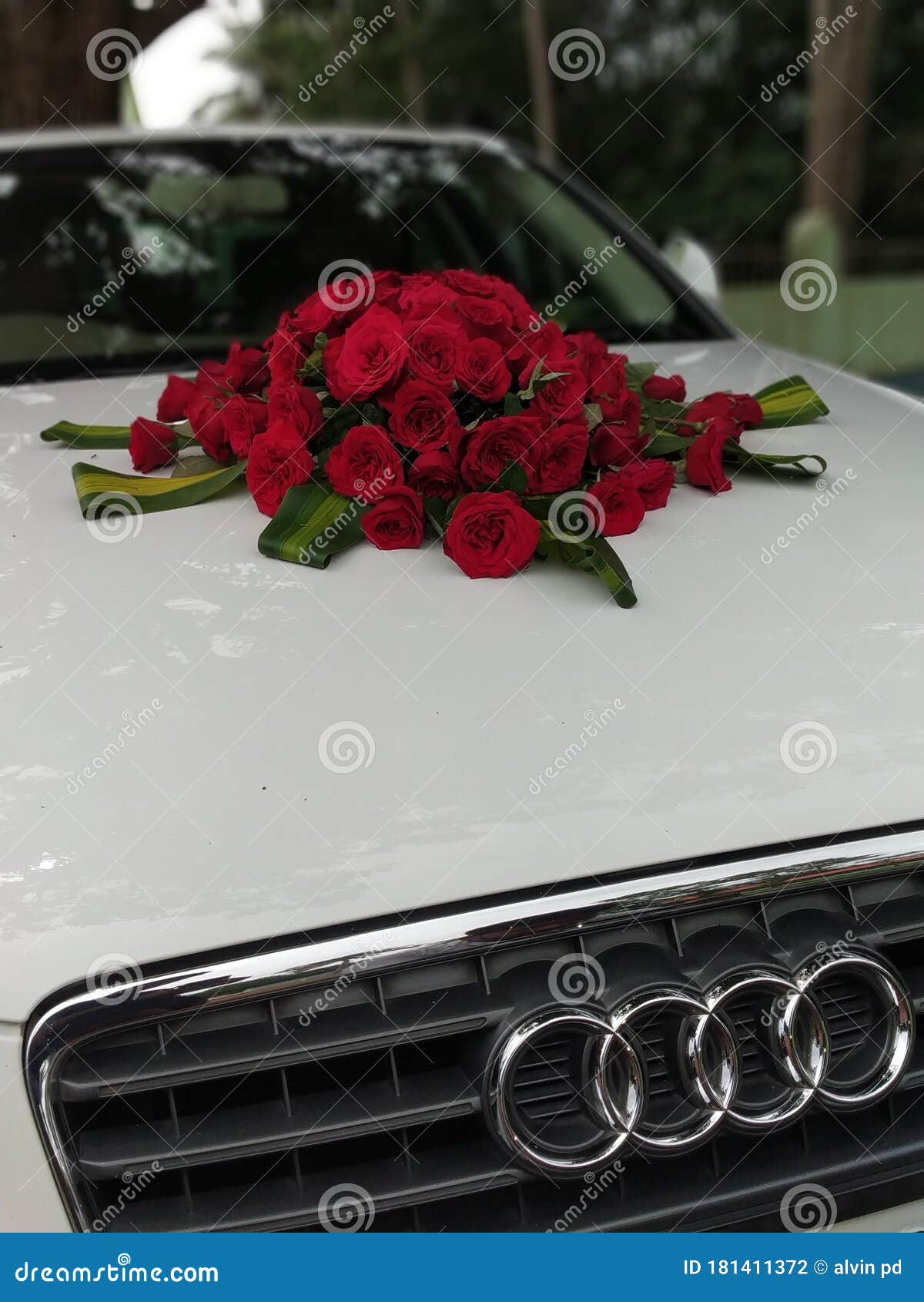 Audi Decorated Full of Red Roses Editorial Photography - Image of full ...