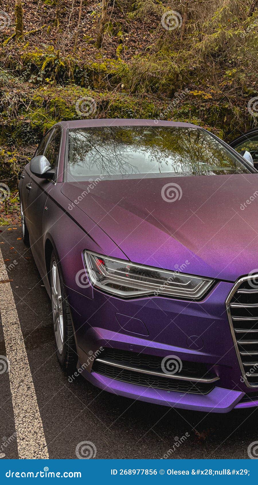 Audi stock photo. Image of purple, matte, luxury, audi - 268977856