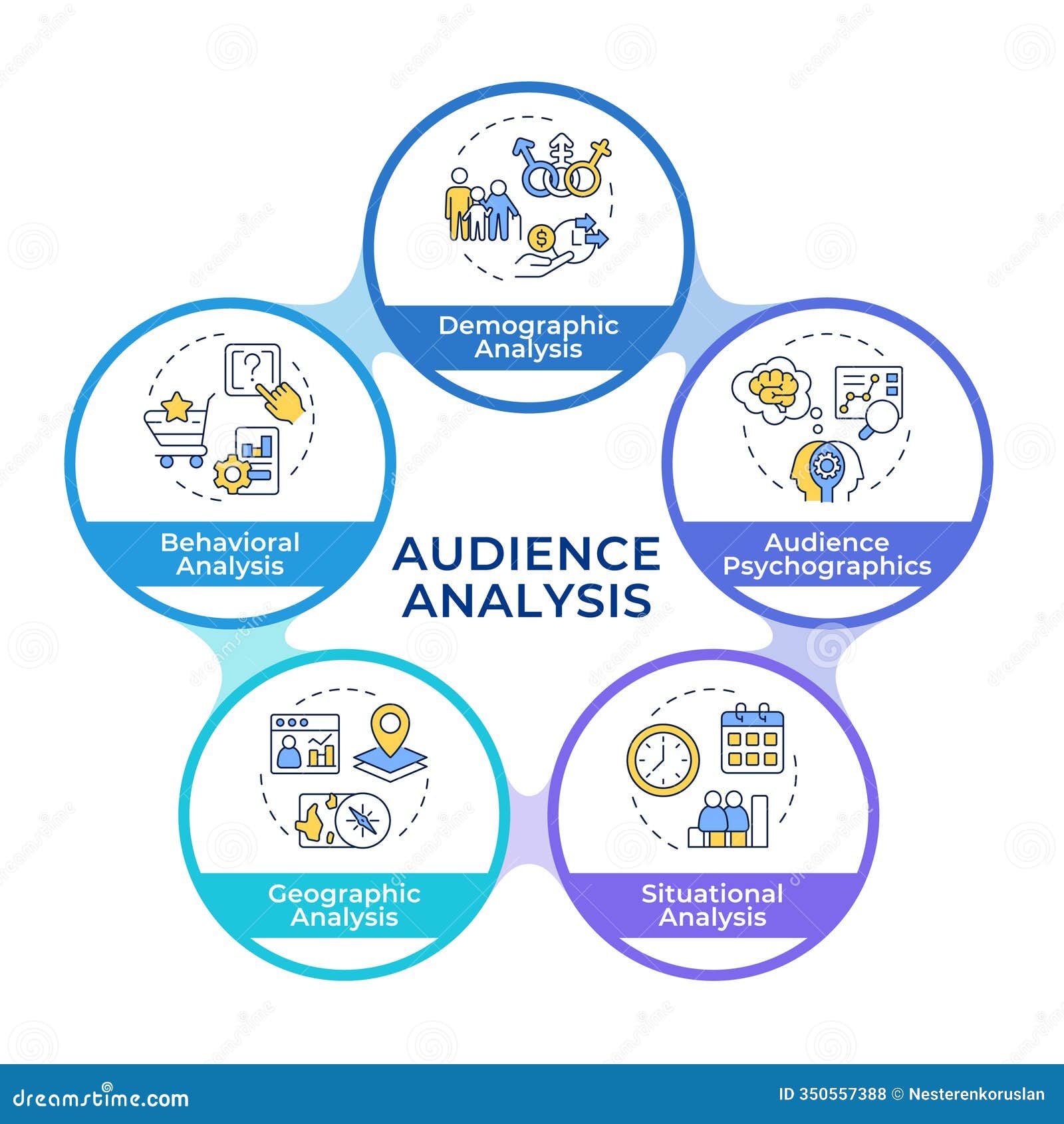 Audience Analysis Infographic Circles Flowchart Stock Illustration ...