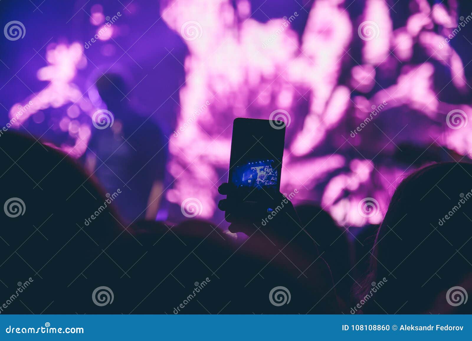 The audience at a concert stock photo. Image of crowd - 108108860