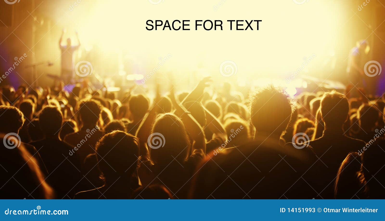 Concert And Audience. People Watch A Group Of Musicians And A Singer ...