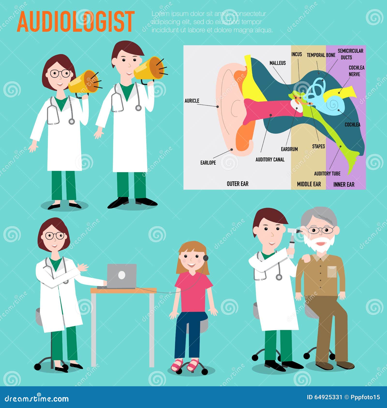 Audiologist , Audiology , Anatomy Of Ear Vector Infographic Stock ...