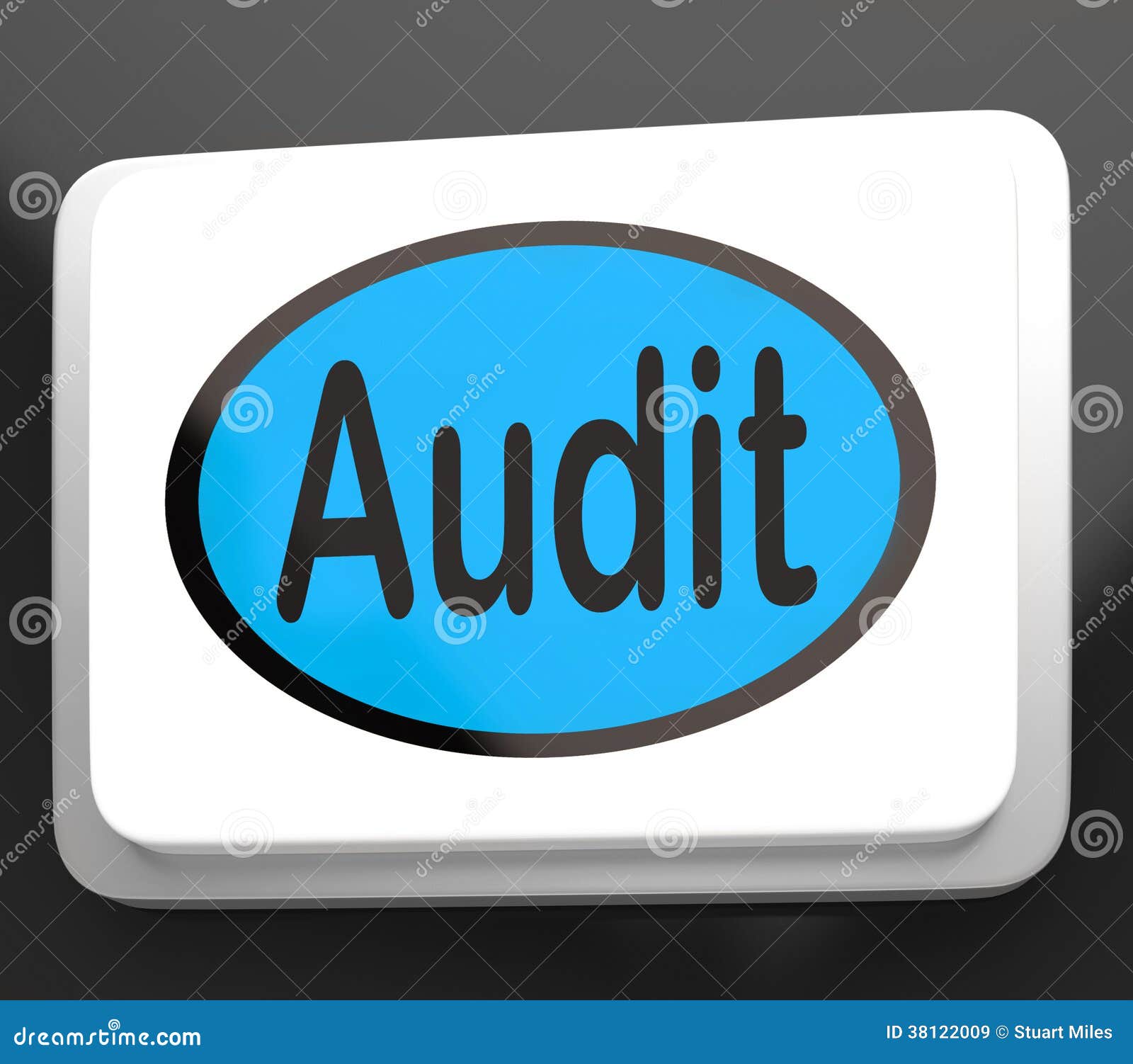 Audit Button Shows Auditor Validation or Inspection Stock Illustration ...