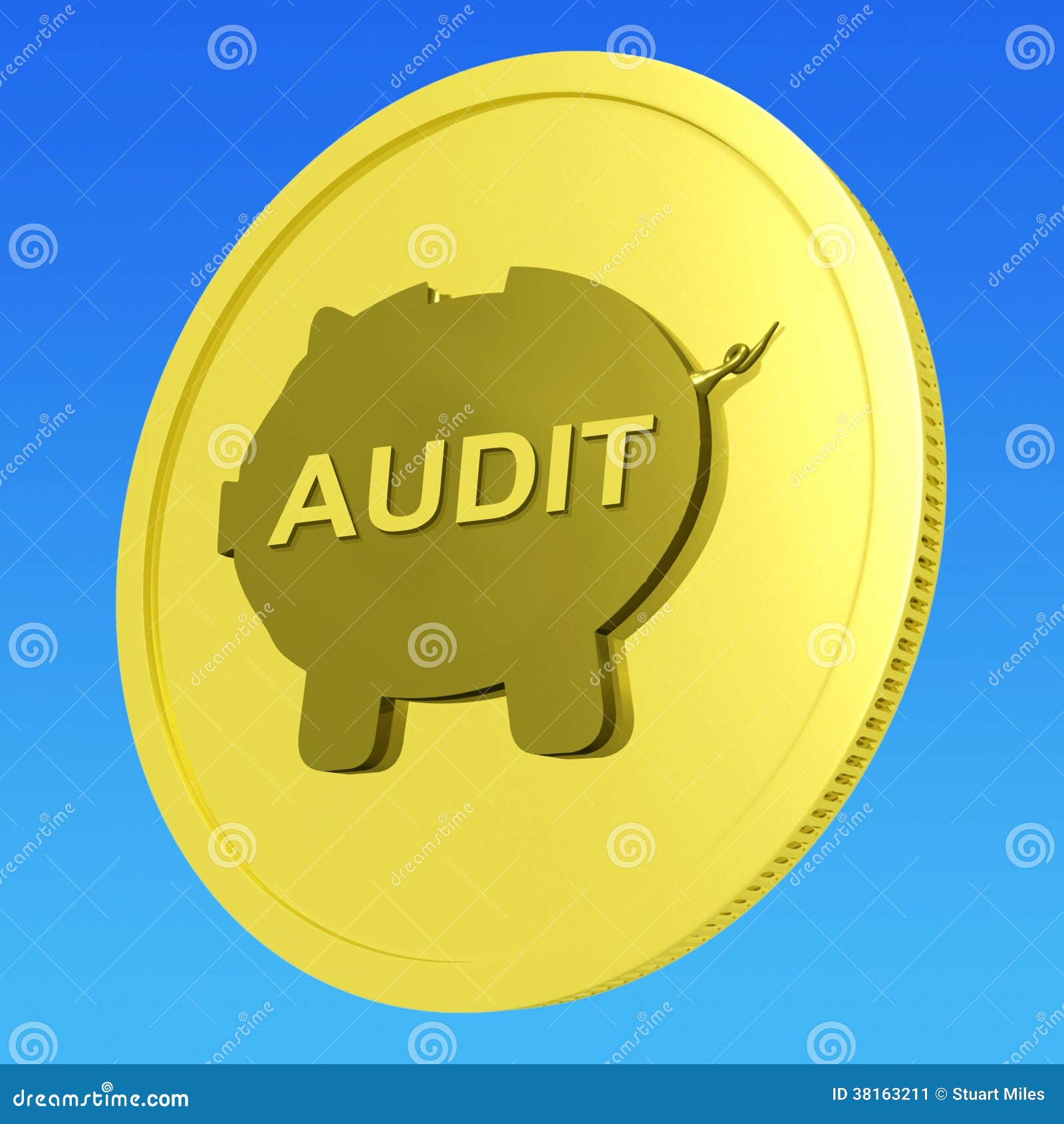 Audit Coin Shows Auditing and Inspection of Finances Stock Illustration ...
