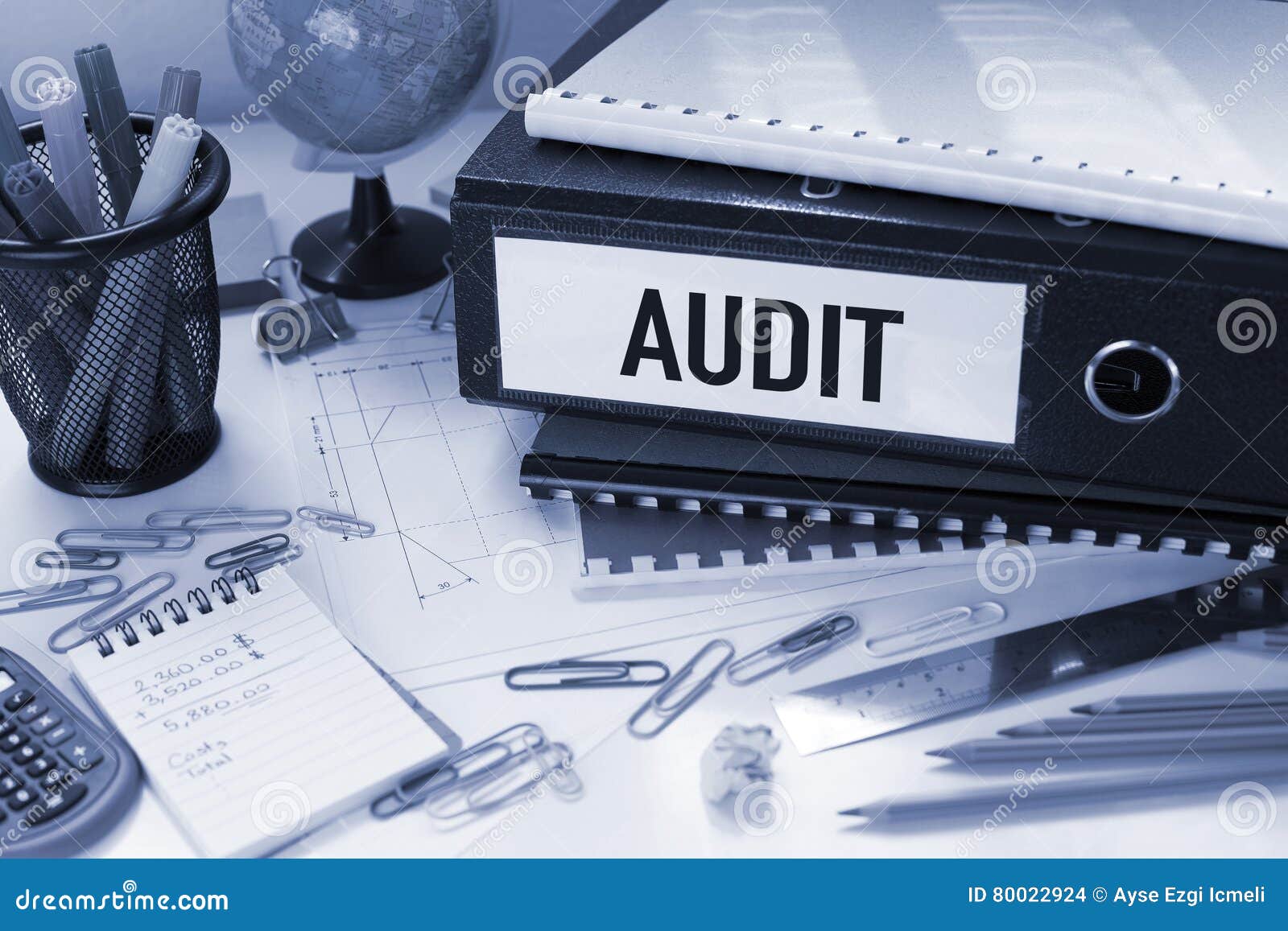 Audit stock photo. Image of asset, file, manager, financial - 80022924