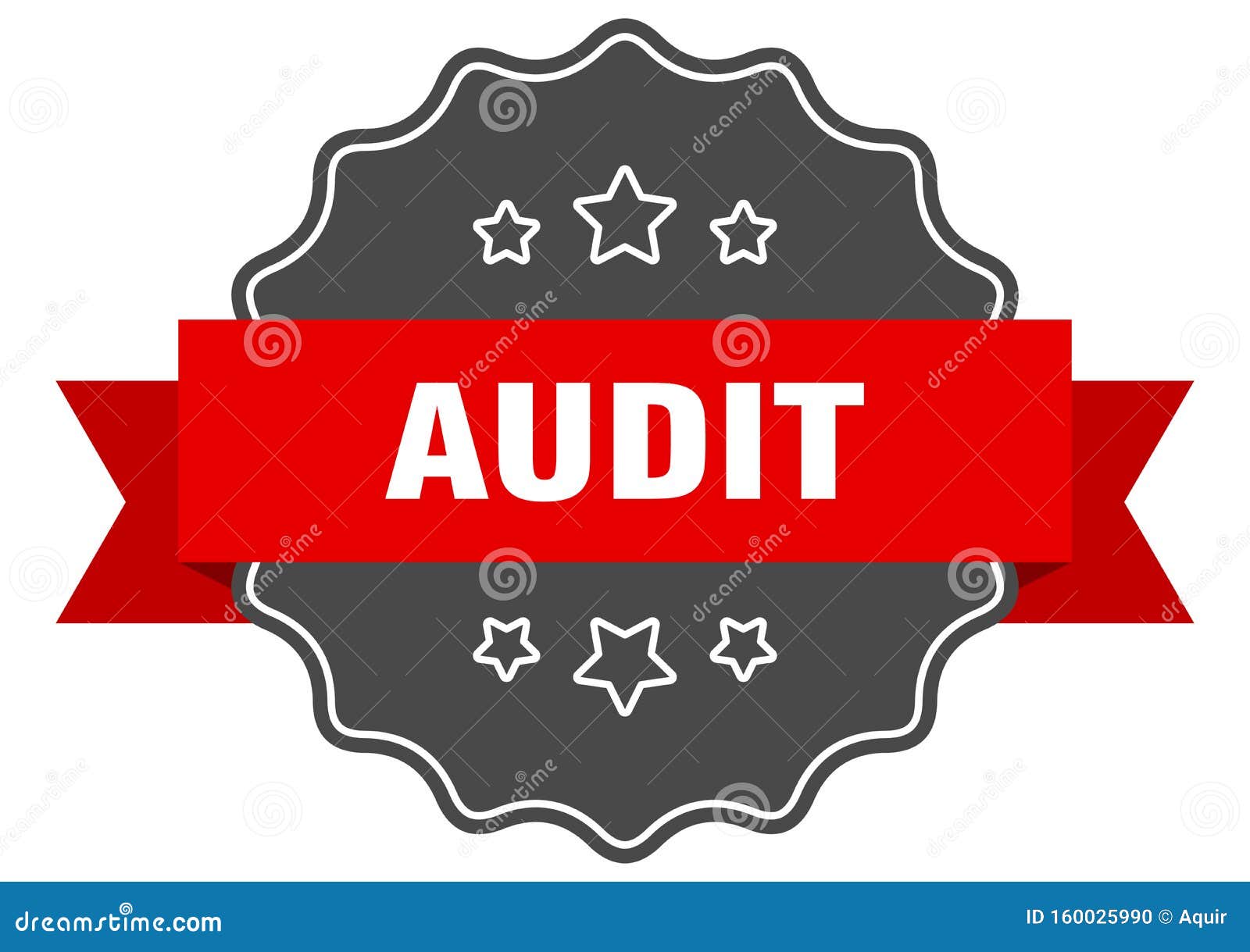 Audit label stock vector. Illustration of medallion - 160025990