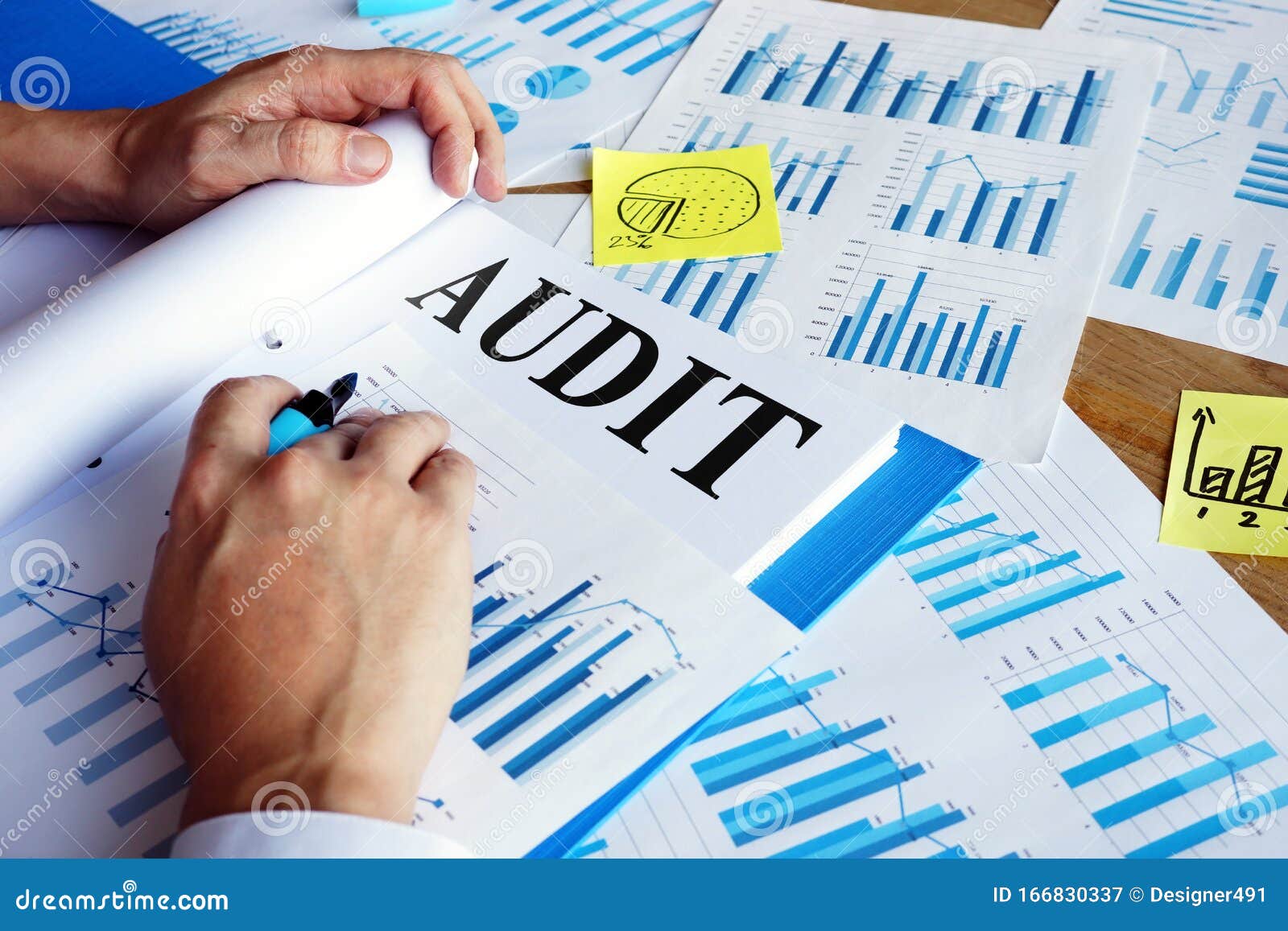 Audit Report in the Blue Folder. Auditing Concept Stock Image - Image ...