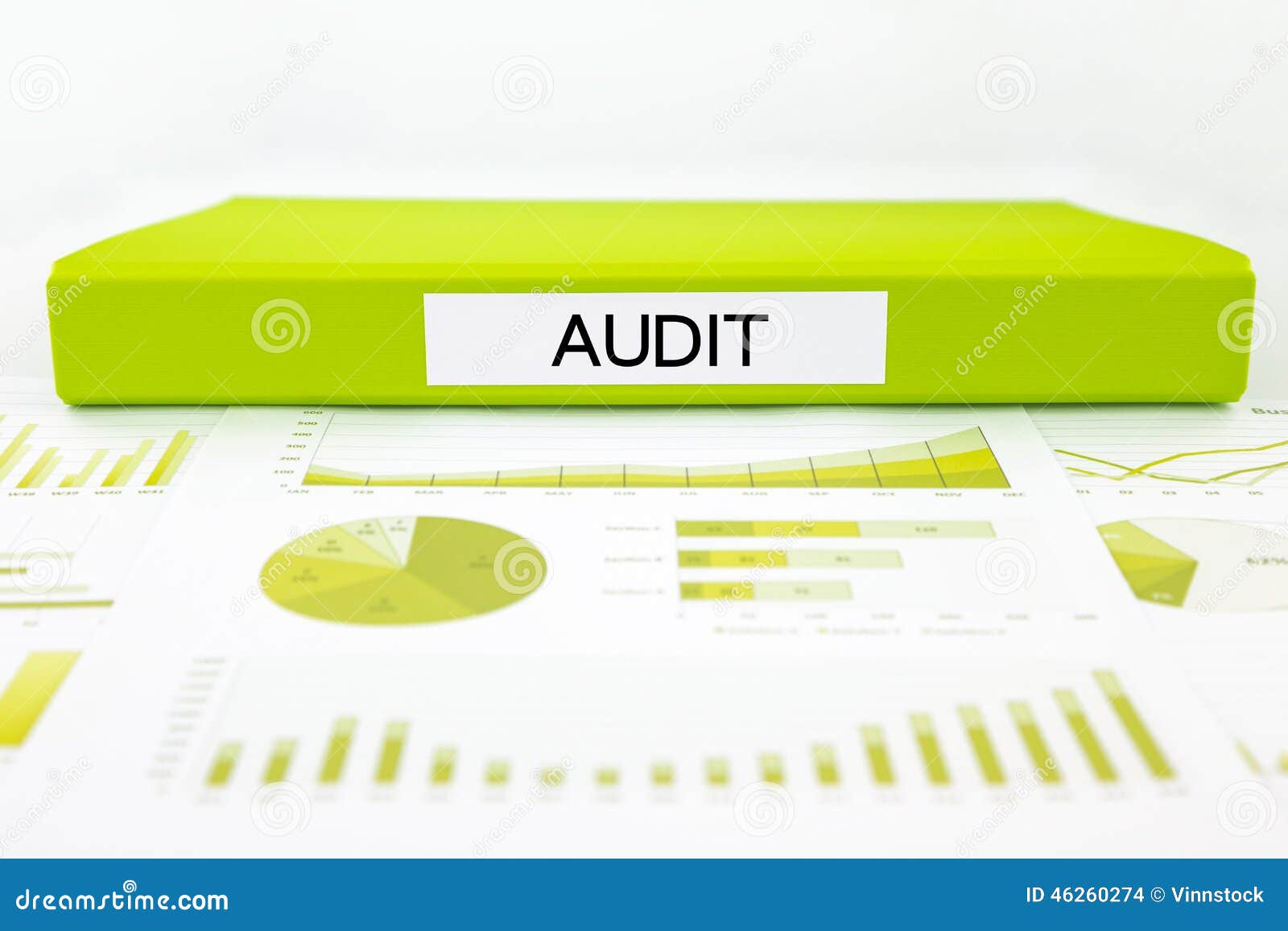 Audit Reports, Graphs, Charts, Data Analysis Stock Photo - Image of ...