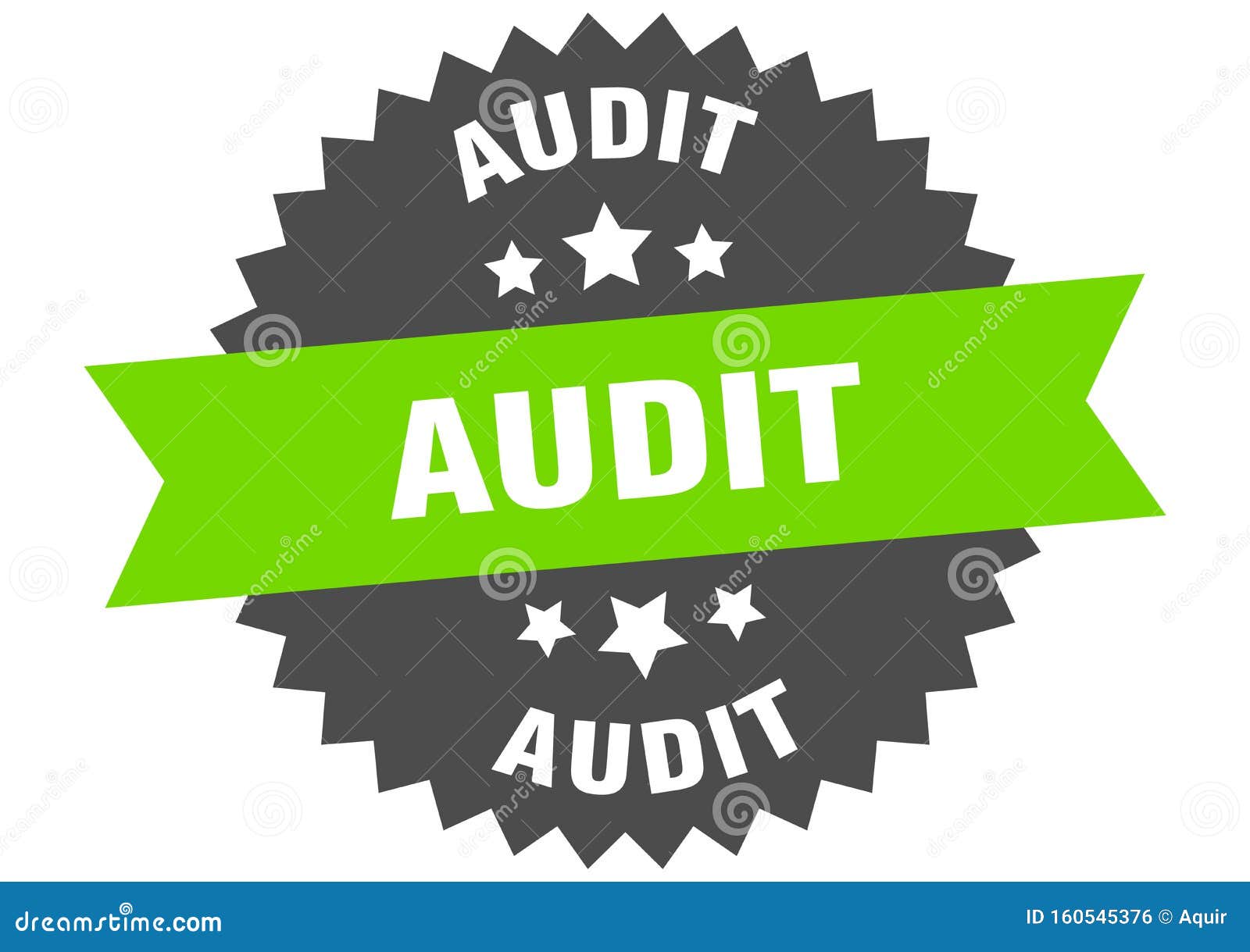 Audit stock vector. Illustration of insignia, peeler - 160545376