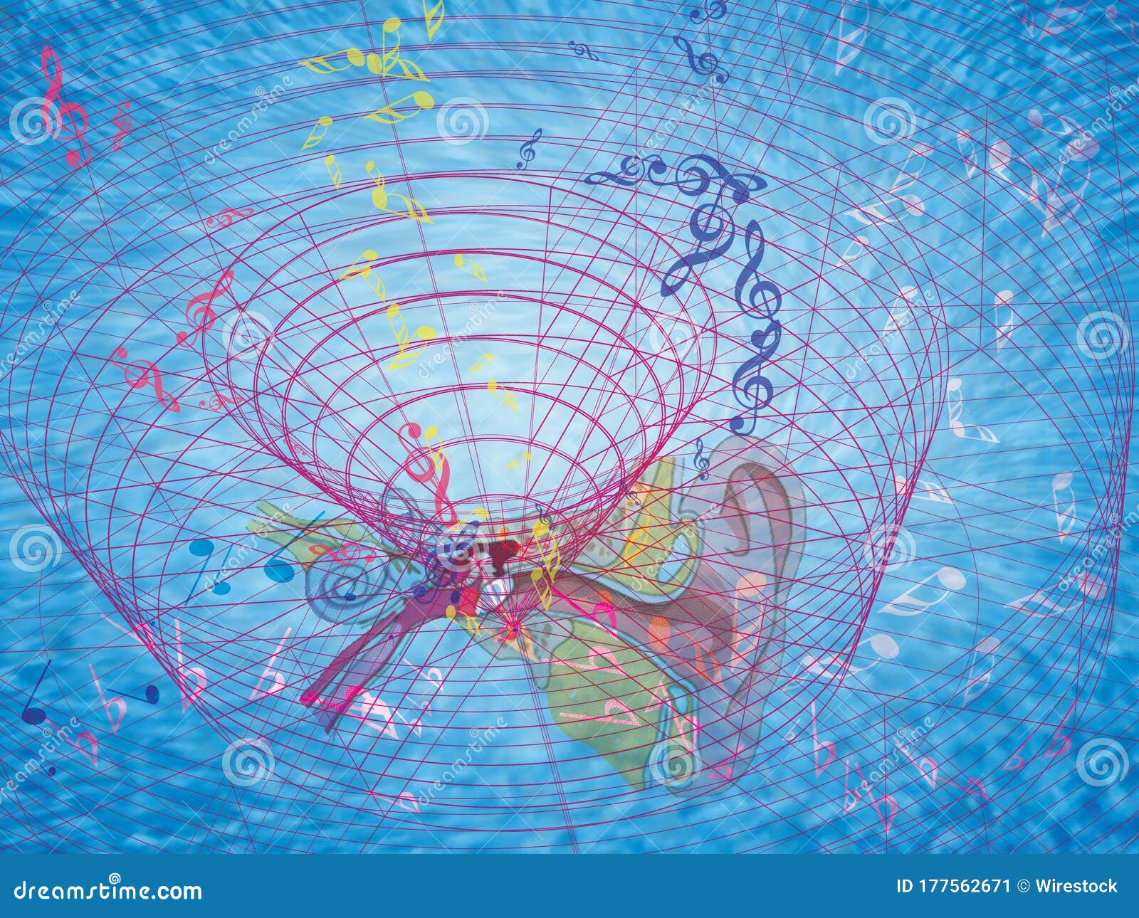 Auditory System. Sensory System. Human Ear Anatomy Cartoon Vector ...