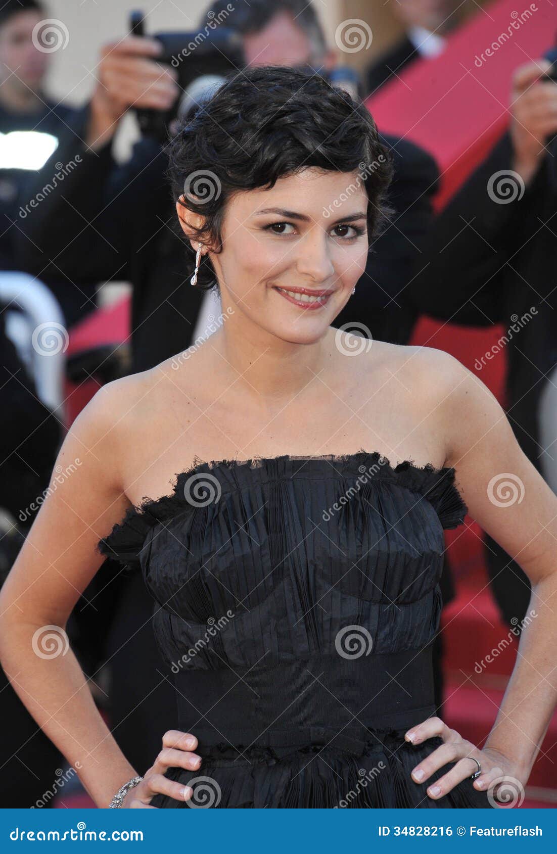 Audrey Tautou foto editorial. Imagen de forjador, cuadro - 34828216