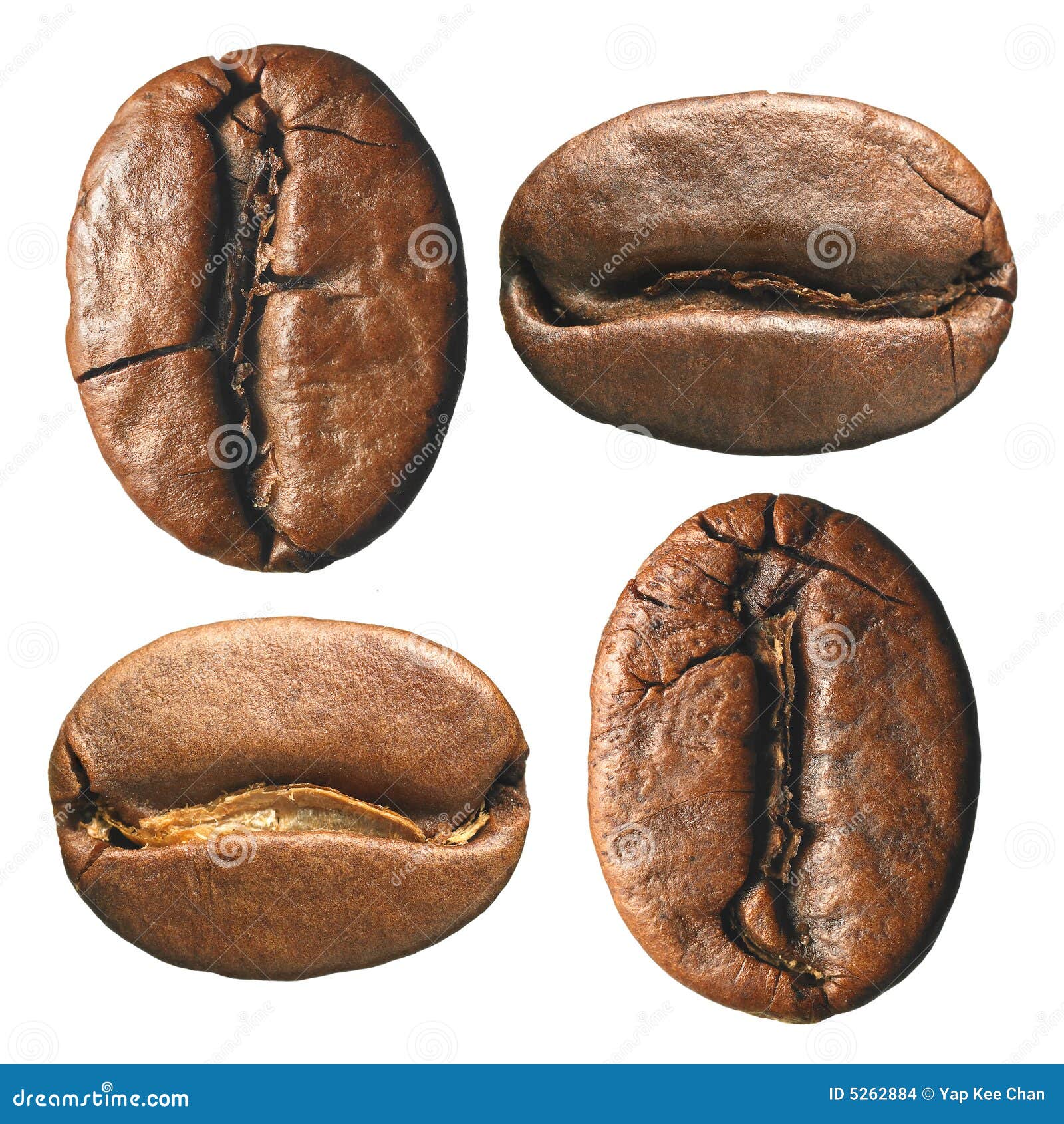 Aufbau der Kaffeebohnen stockfoto. Bild von geschmack - 5262884