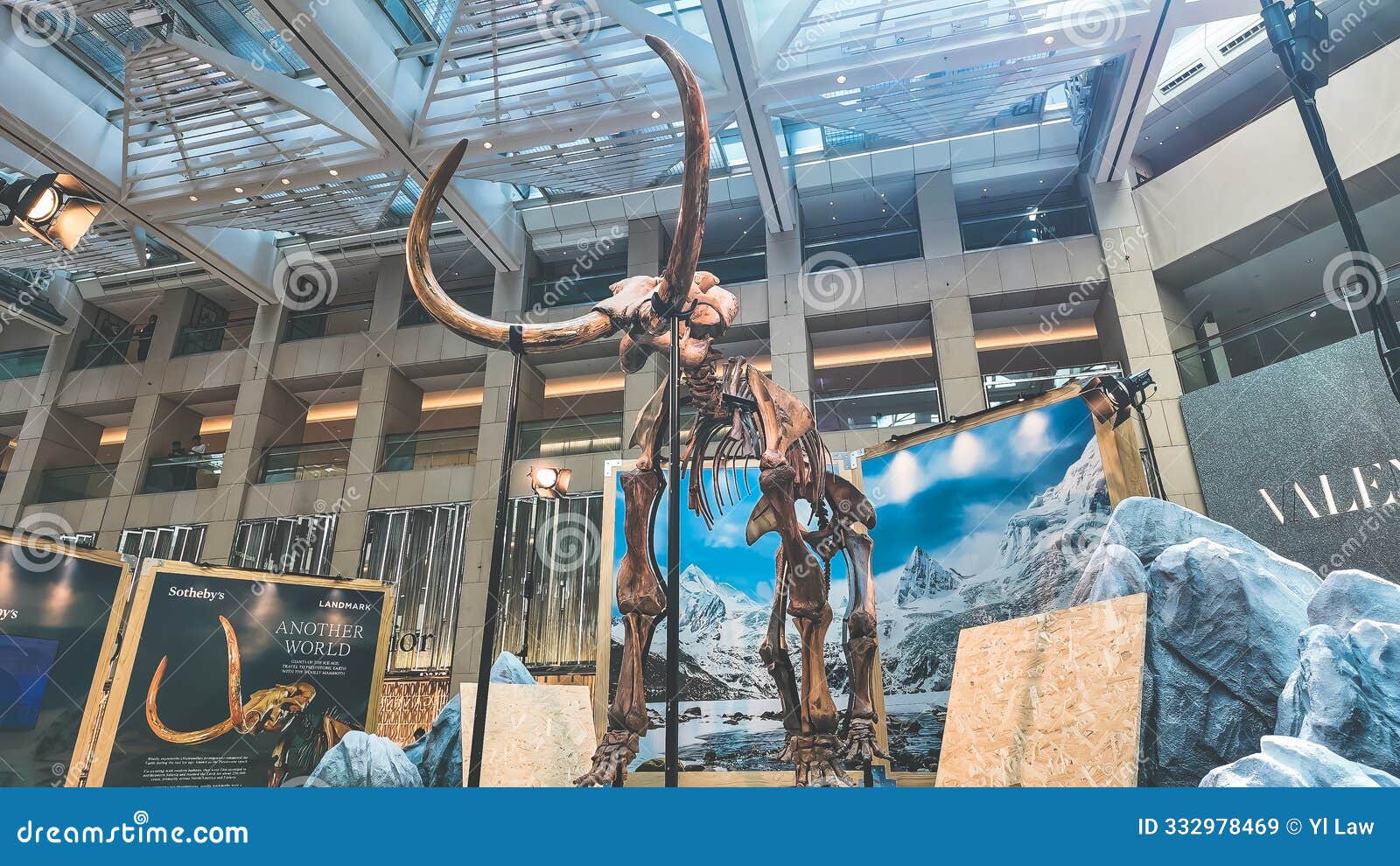 Woolly Mammoth, Running Prehistoric Mammal Isolated With Shadow On ...