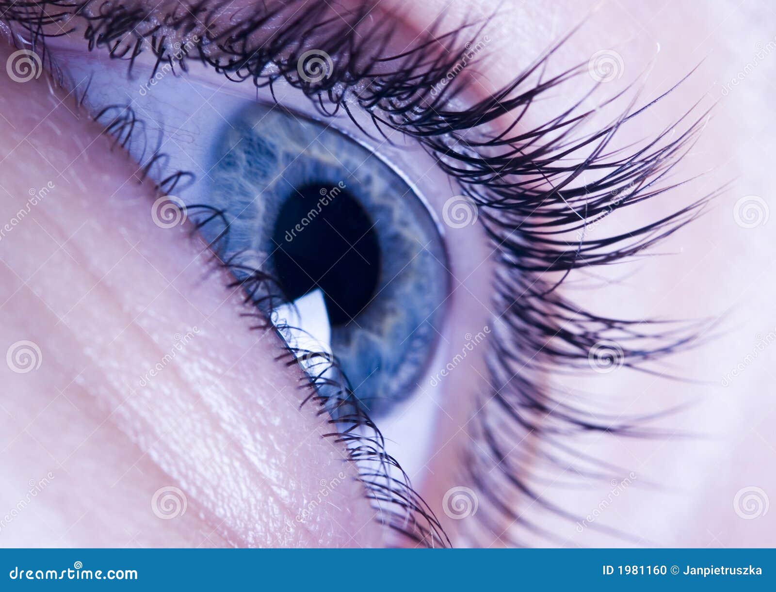 Auge Bild. Bild: 1981160