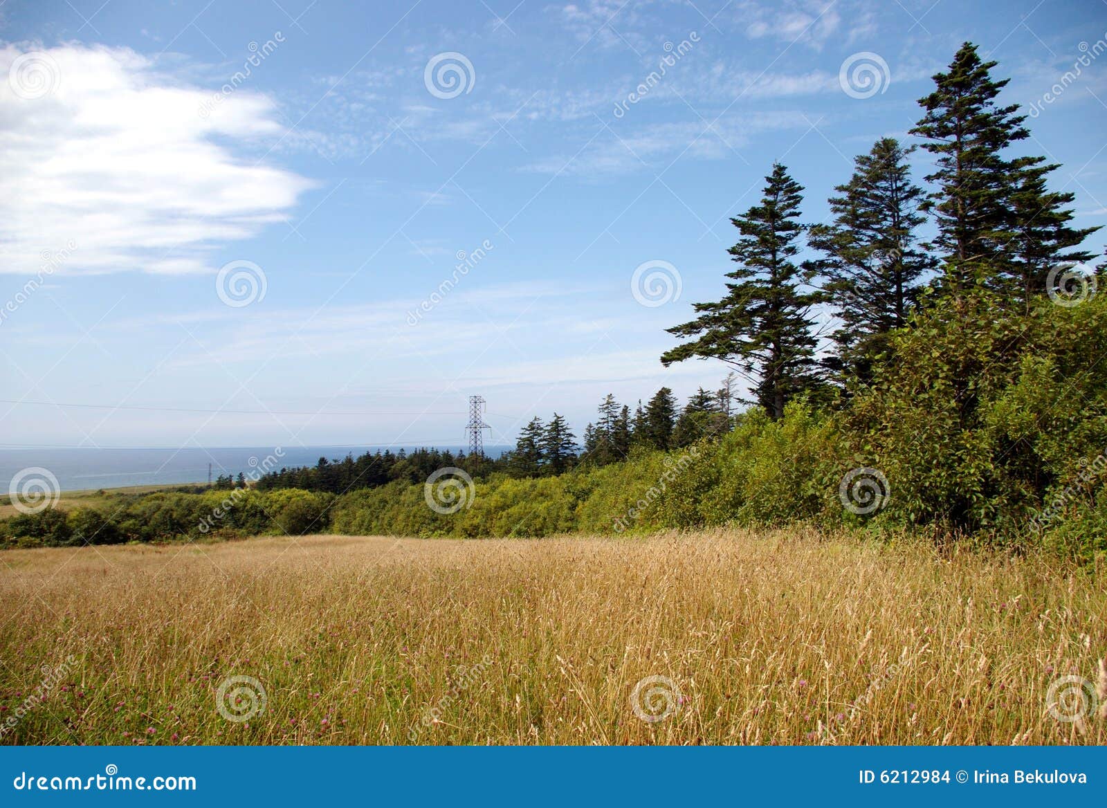 August stock photo. Image of blue, cloud, nature, herb - 6212984