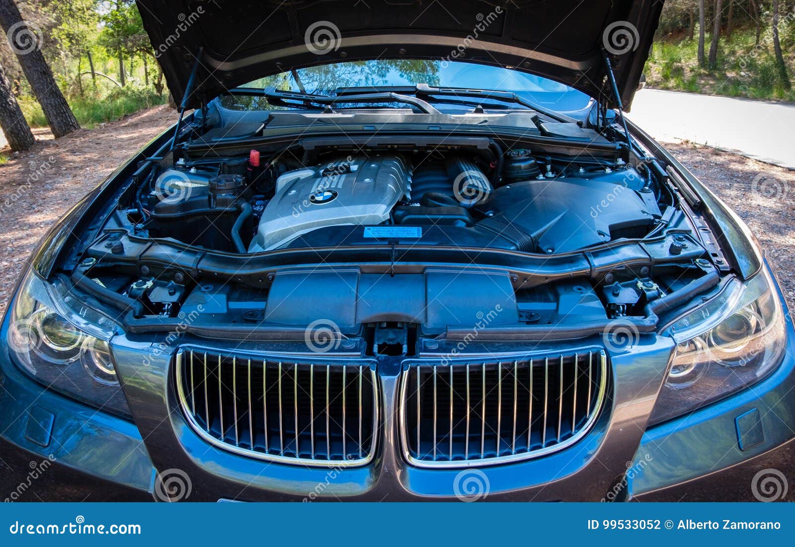 BMW 3 Series E90 330i Sparkling Graphite Engine View at the Mountain ...
