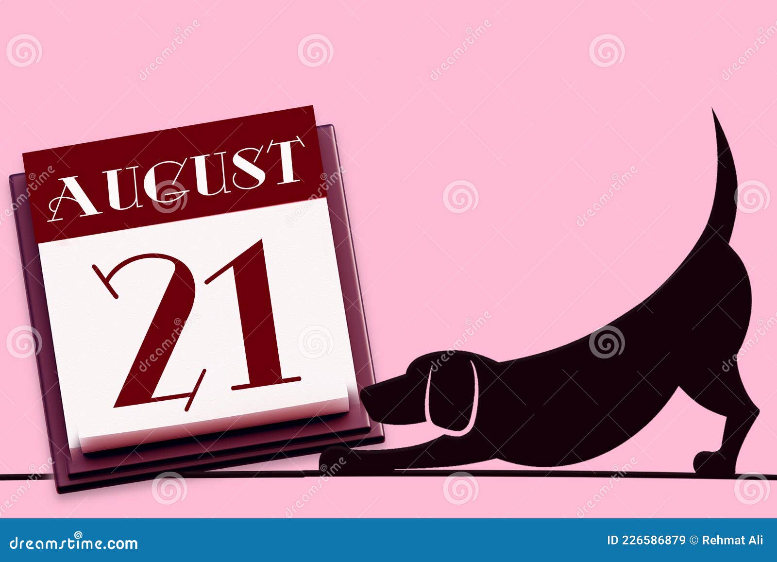 21 August, Calendar Icon. on Pink Background Stock Illustration ...