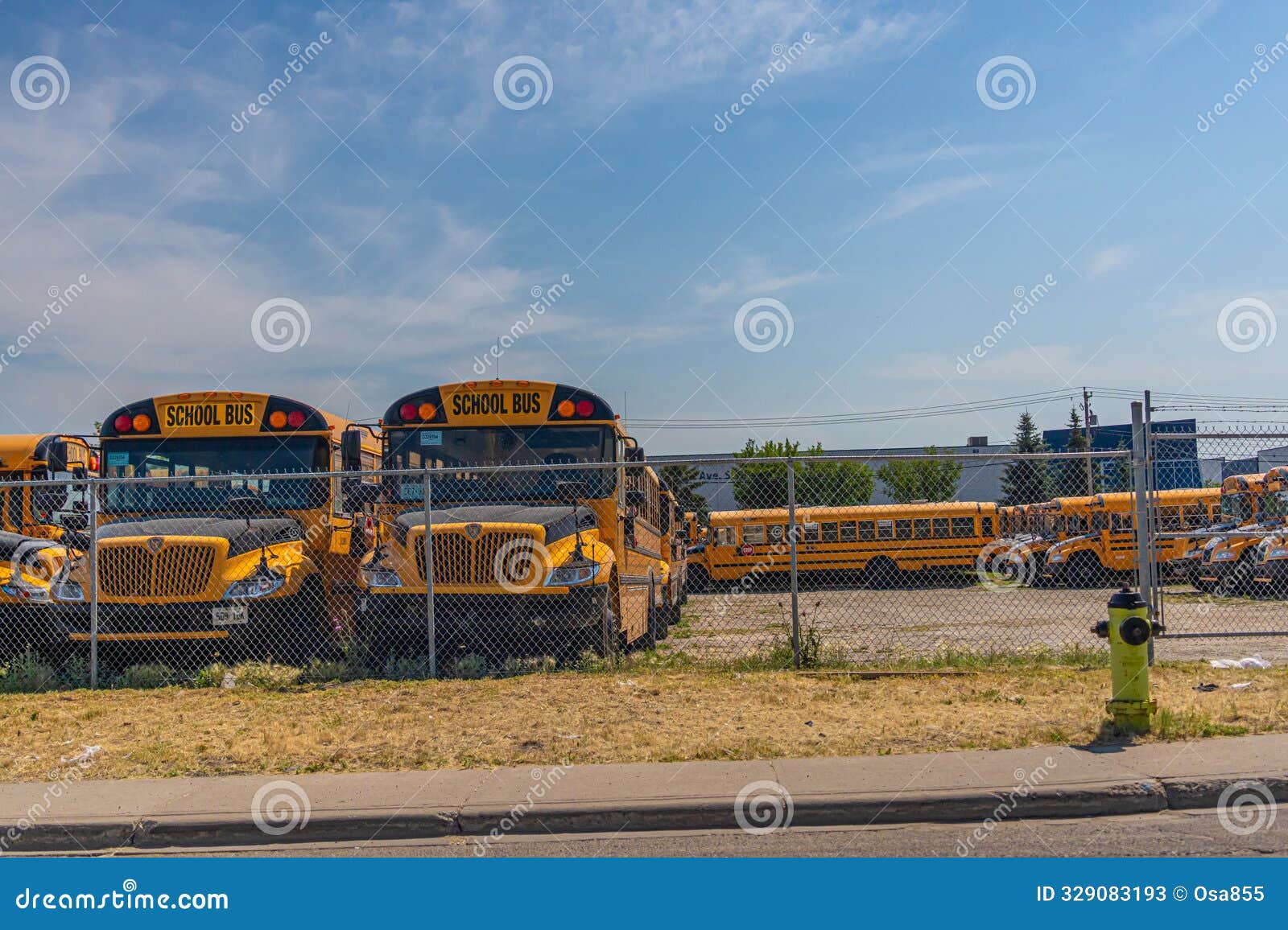 2 August 2024 - Calgary Alberta Canada - Yellow School Buses in Parking ...