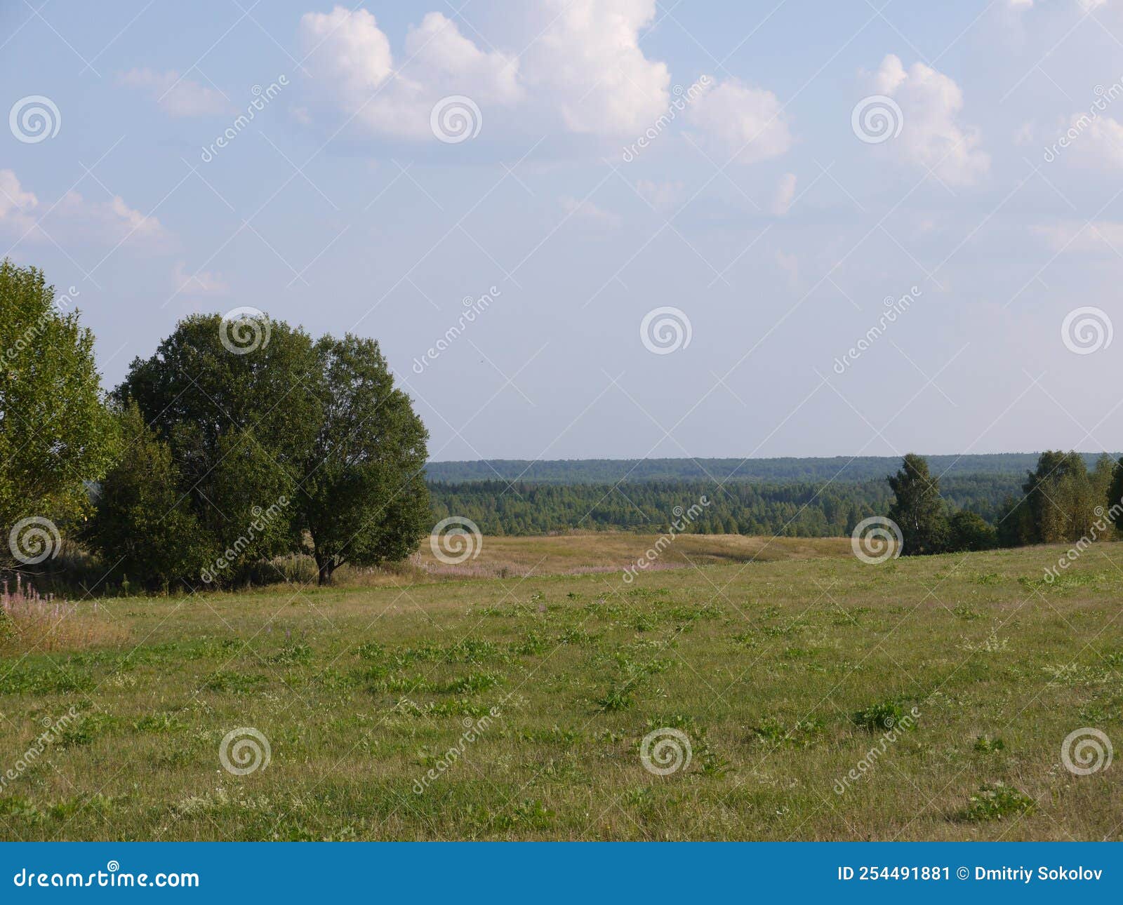 August field and tree stock image. Image of prairie - 254491881