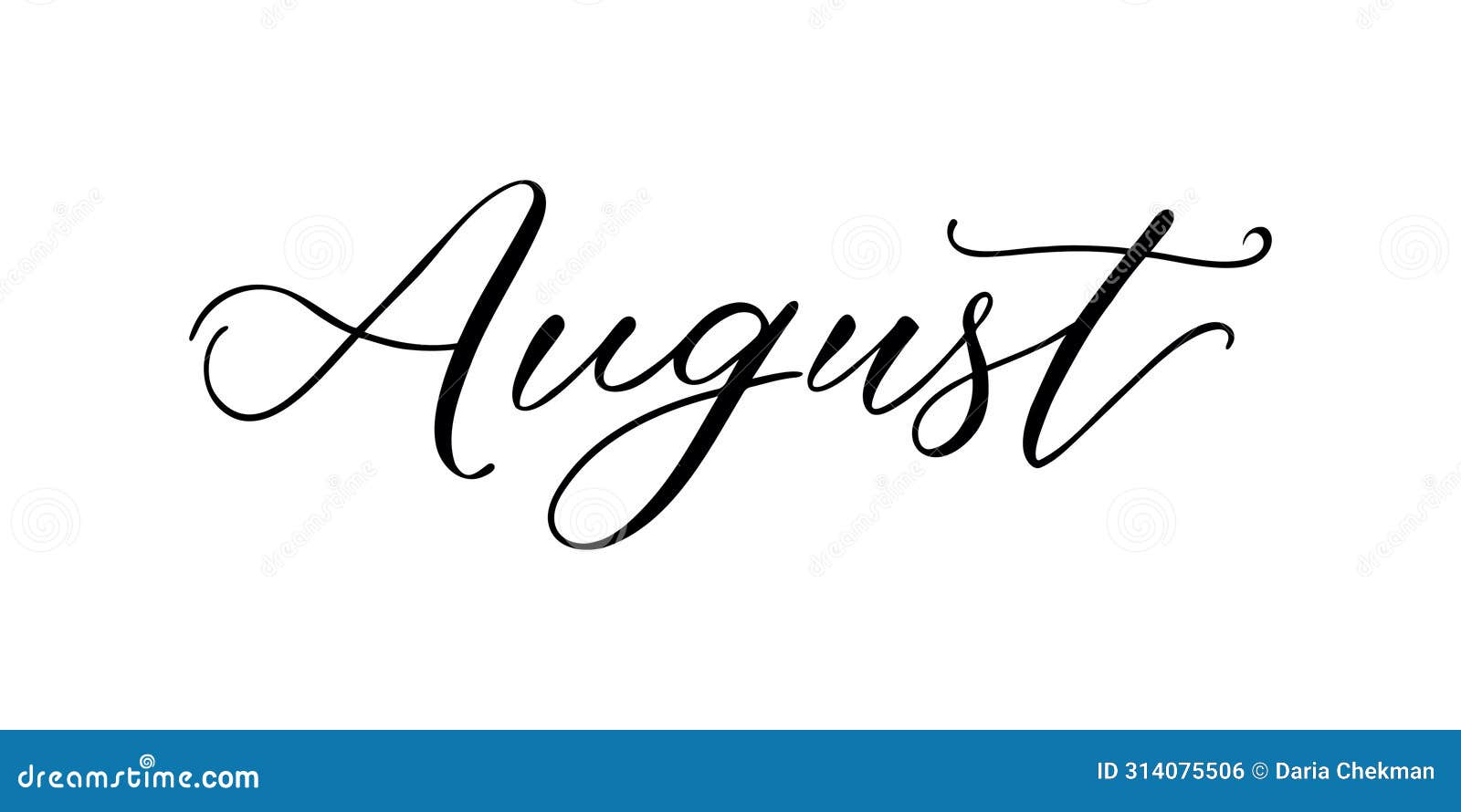 August - Handwritten Inscription in Calligraphic Style on a White ...