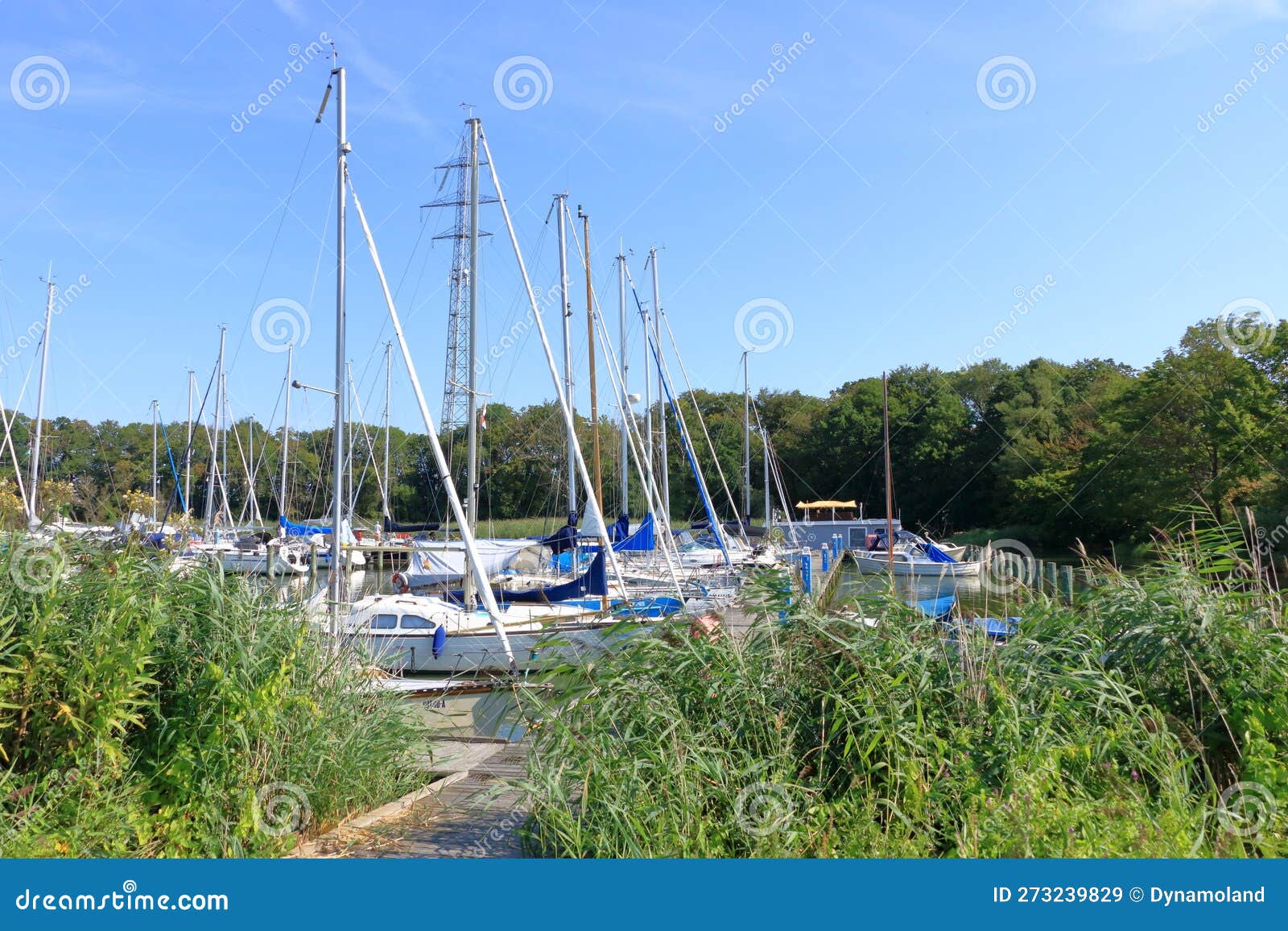 August 14 2022 - Karnin, Usedom, Germany: Tranquil Hustle and Bustle in ...