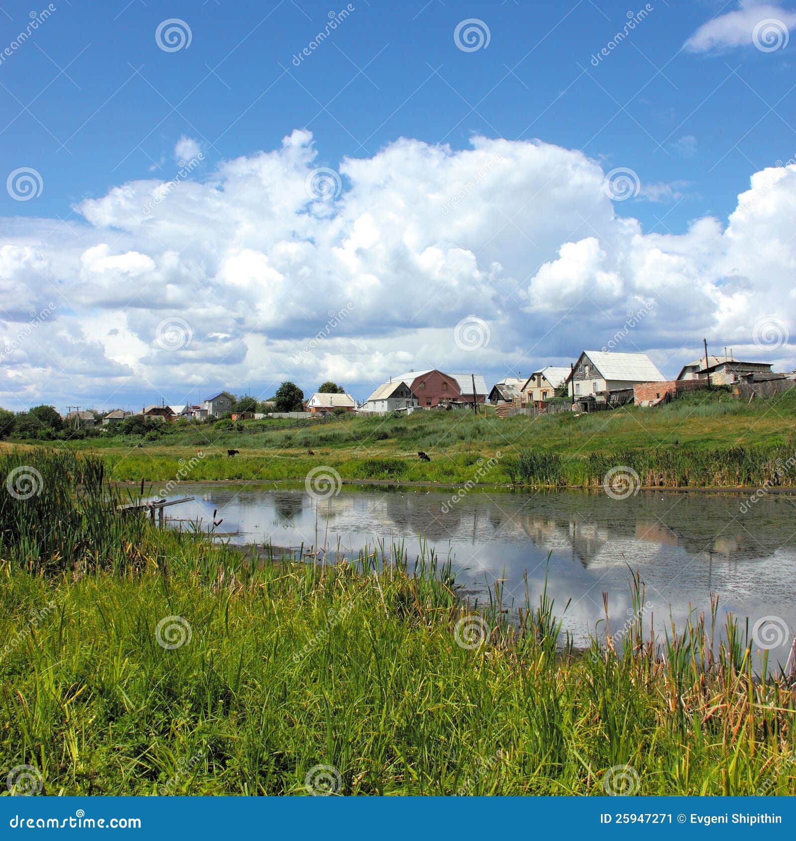 August landscape. stock image. Image of vegetation, water - 25947271