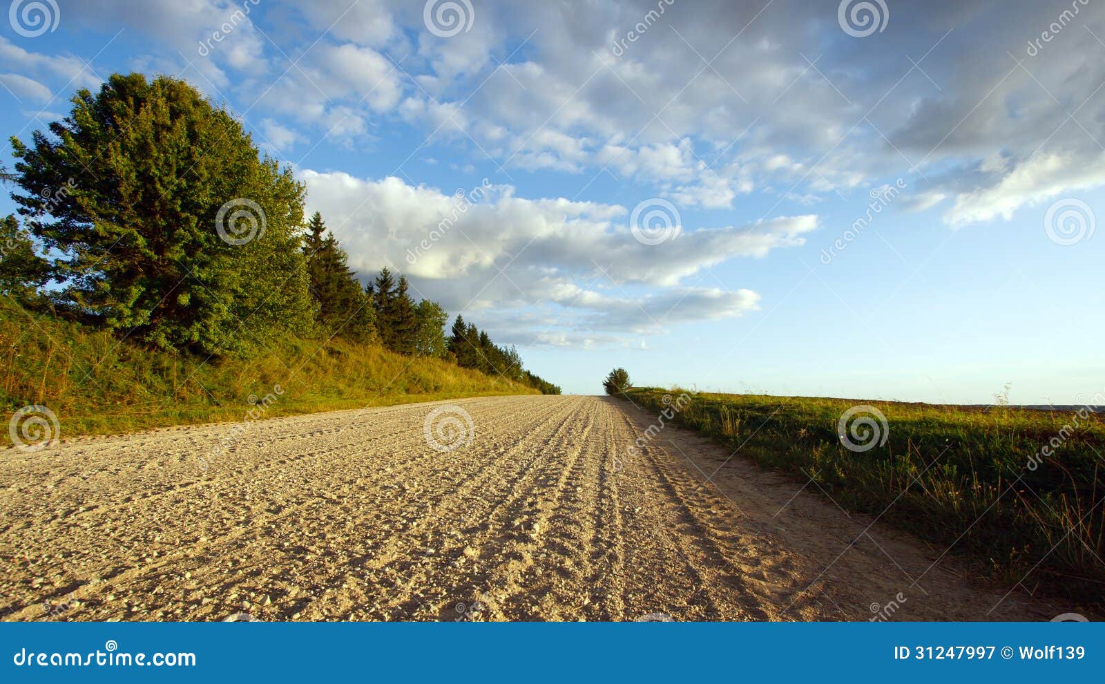 August Landscape with a Road Stock Image - Image of pasture, plants ...