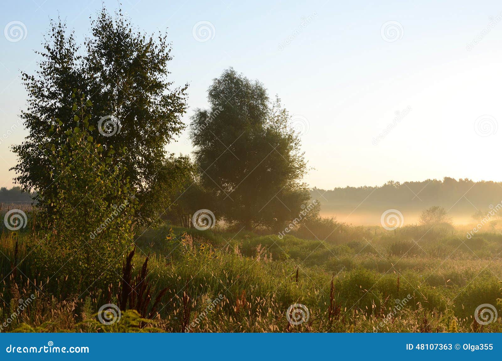 August morning stock image. Image of grass, proximity - 48107363