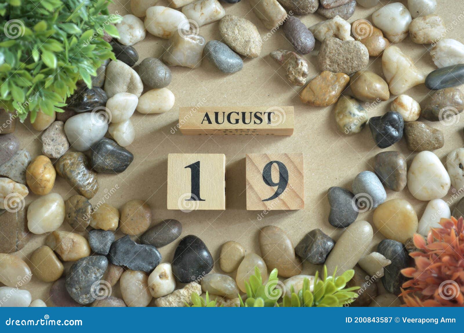 August 19, Natural Background. Stock Image - Image of 2020, concept ...