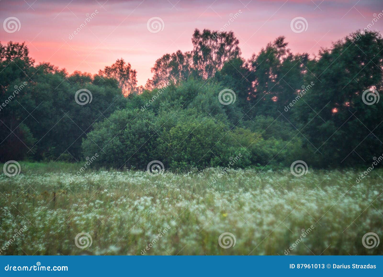 August nature summer stock image. Image of lithuania - 87961013