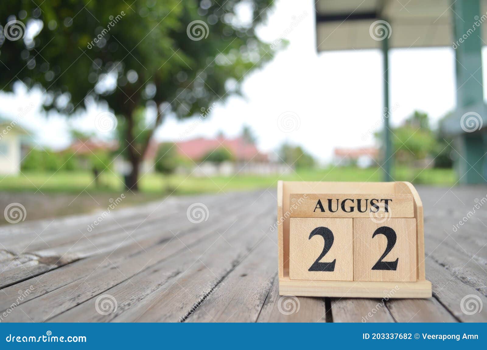 August 22, Number Cube with a Natural Concept. Stock Photo - Image of ...
