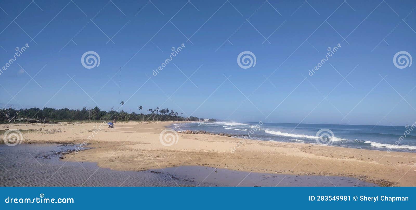 August Puerto Rico Playa Espinar Beach Waves Shore Stock Image - Image ...