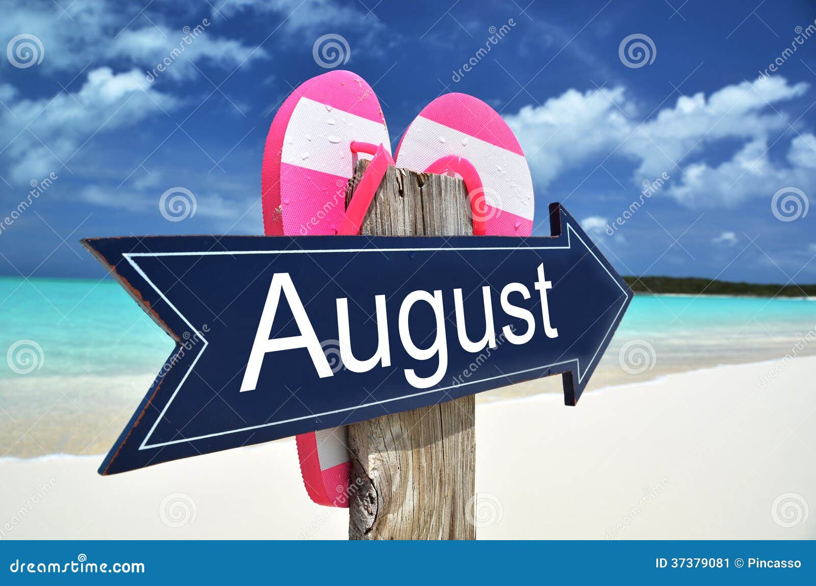 AUGUST sign stock image. Image of bathing, rubber, august - 37379081