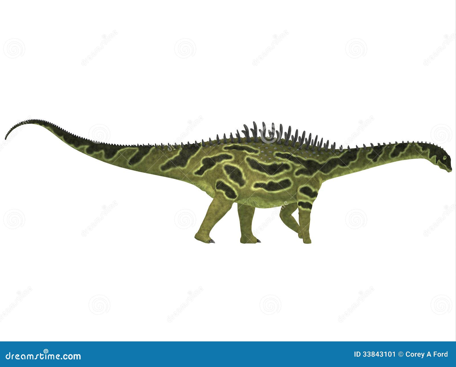 Augustinia en blanco stock de ilustración. Ilustración de primitivo ...