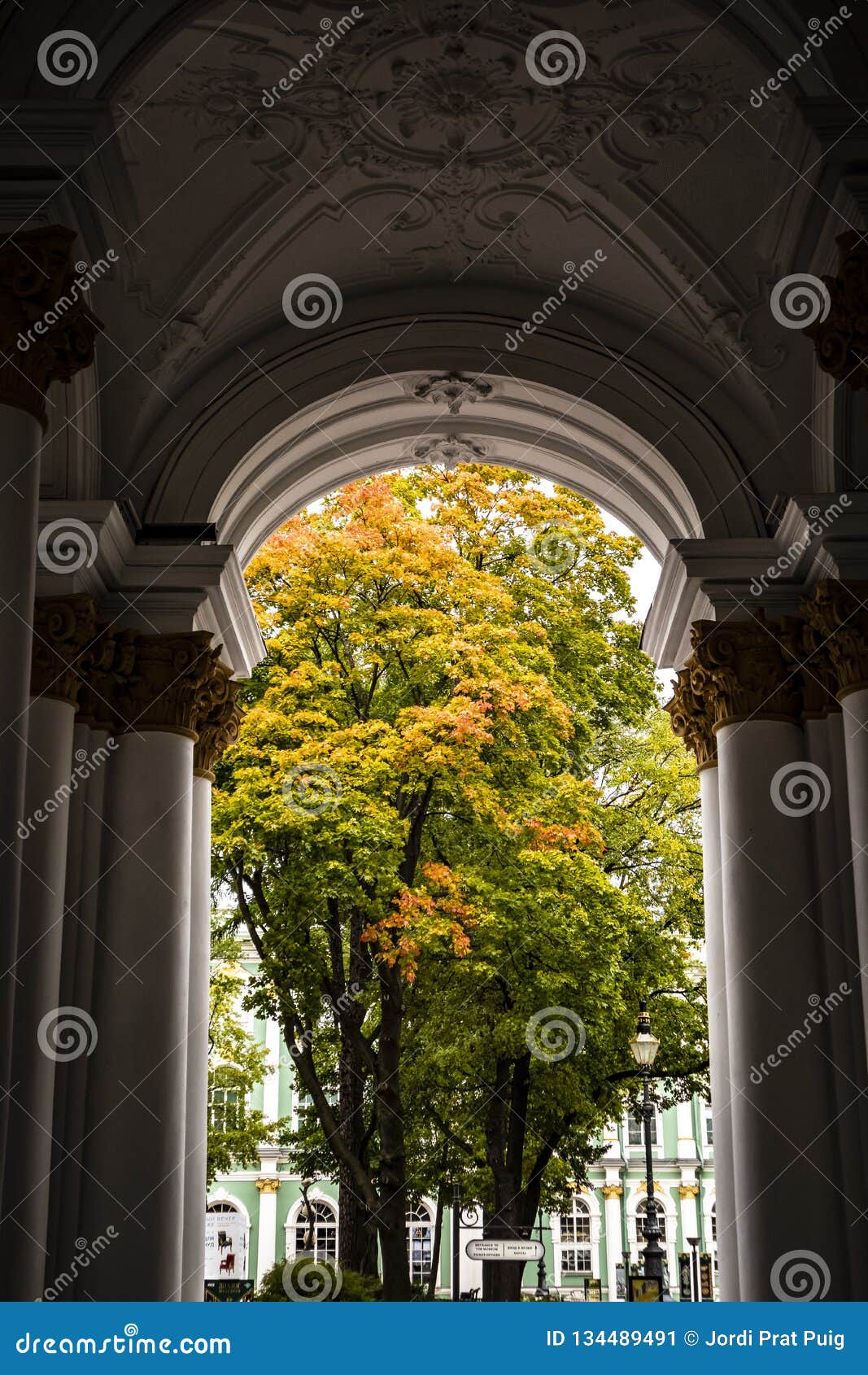 Autumn Tree Leaves Bright on an Architectural Columns Building Canvas ...