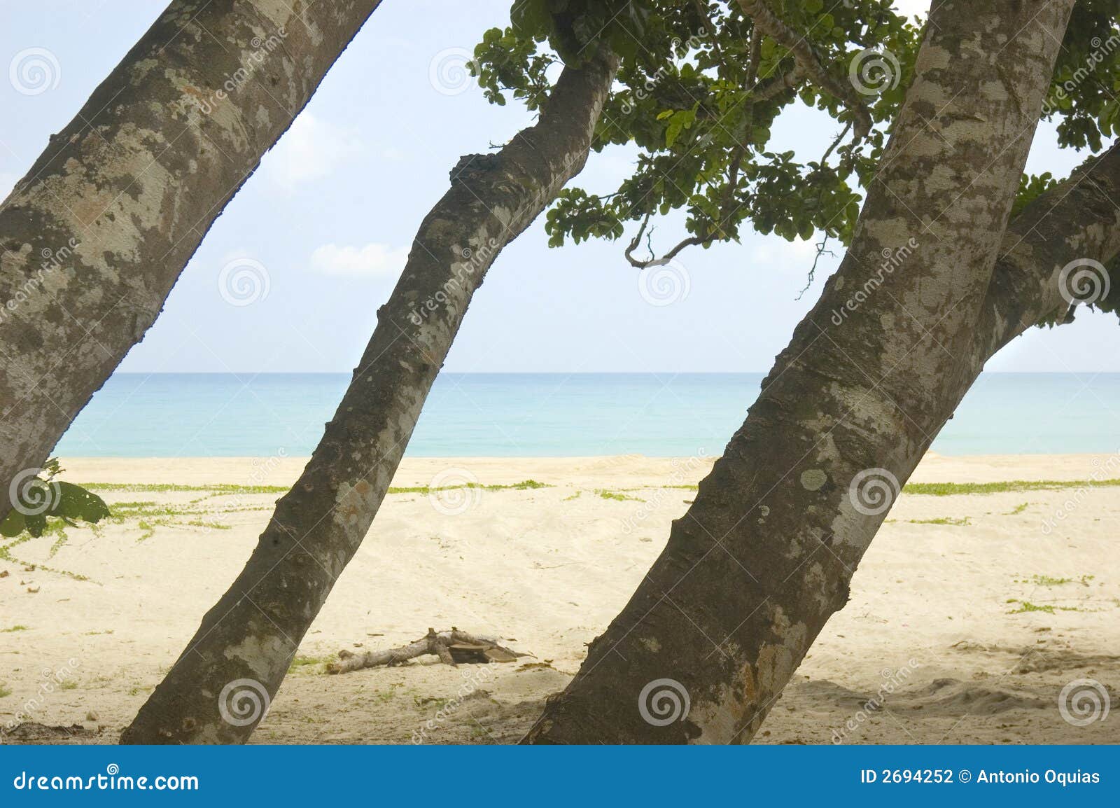 Aurora Beach Picture. Image: 2694252