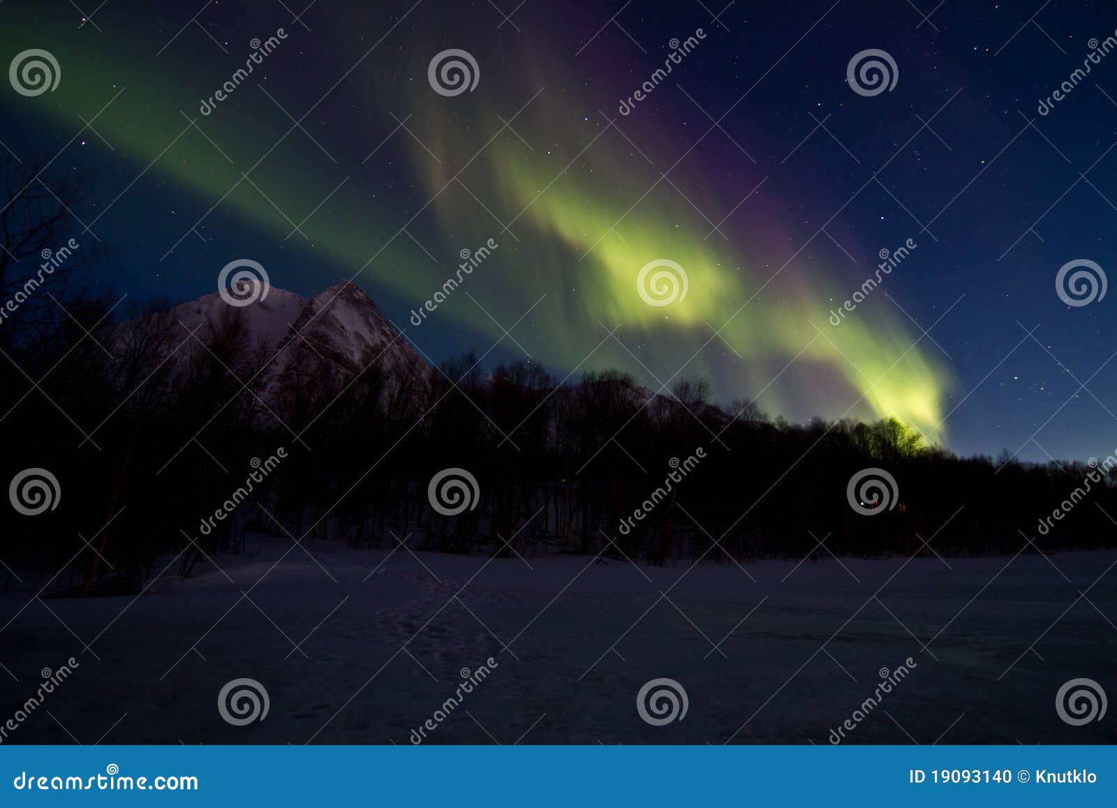 Aurora Northern Light Over the Winter Sea Ice Stock Photo - Image of ...