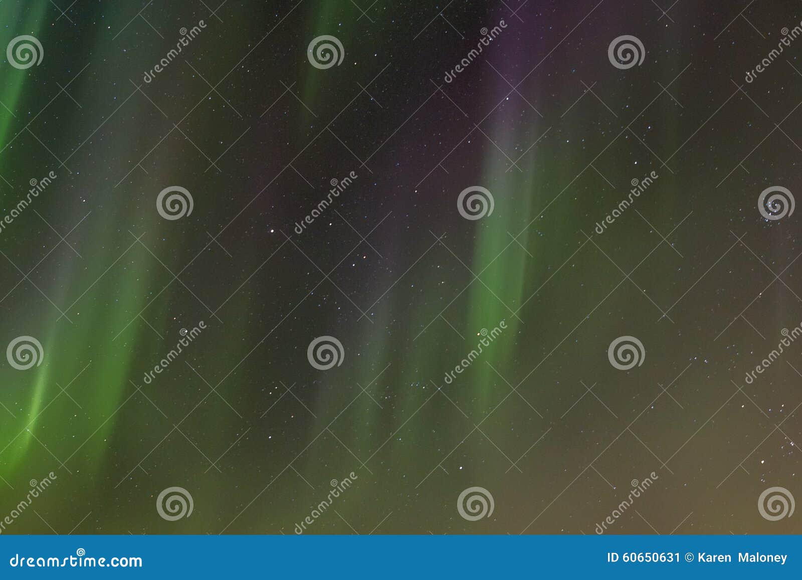 Aurora Rays stock image. Image of night, nature, green - 60650631